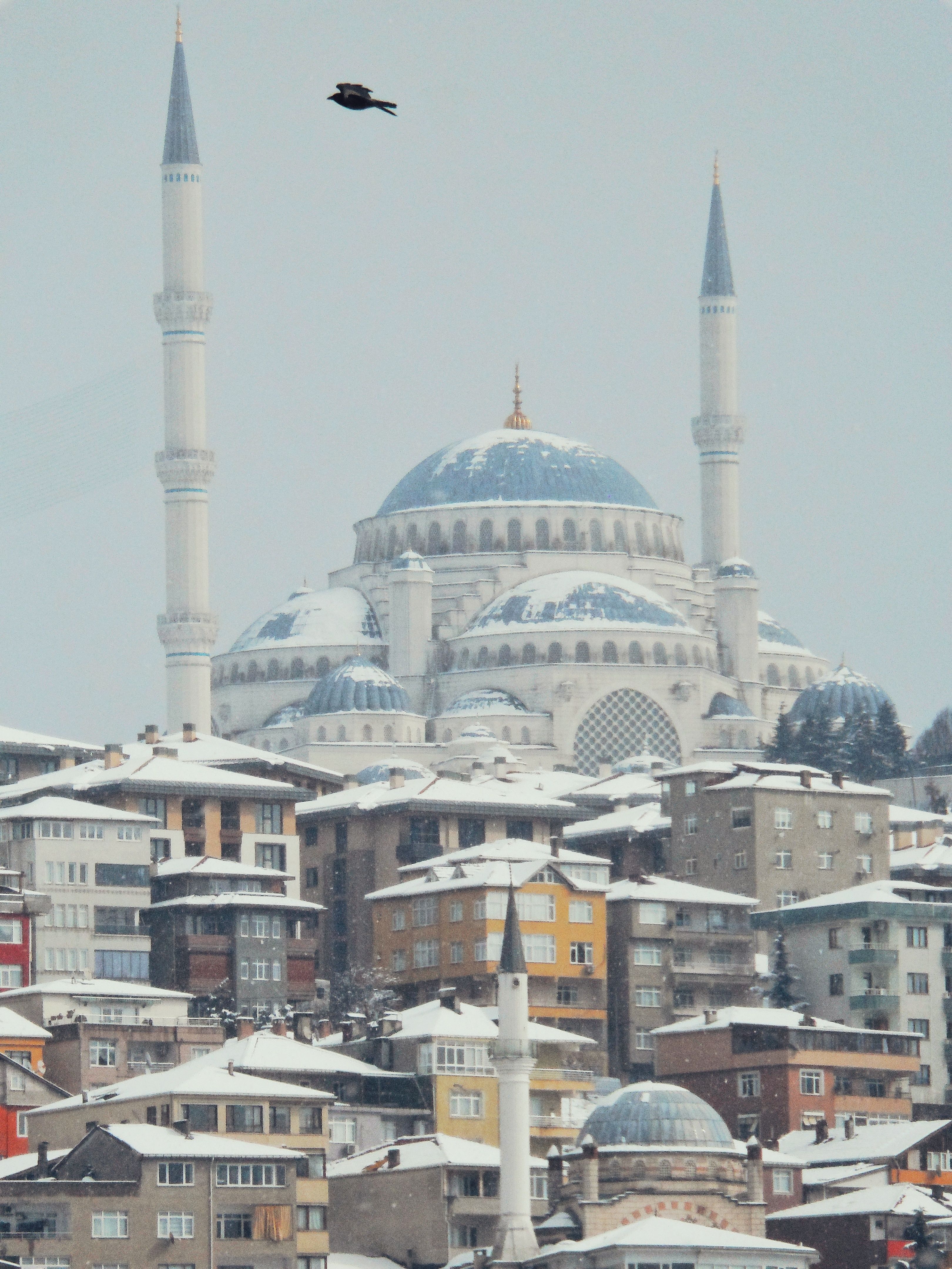 Winter View of Grand Mosque in Snow-Covered Cityscape · Free Stock Photo