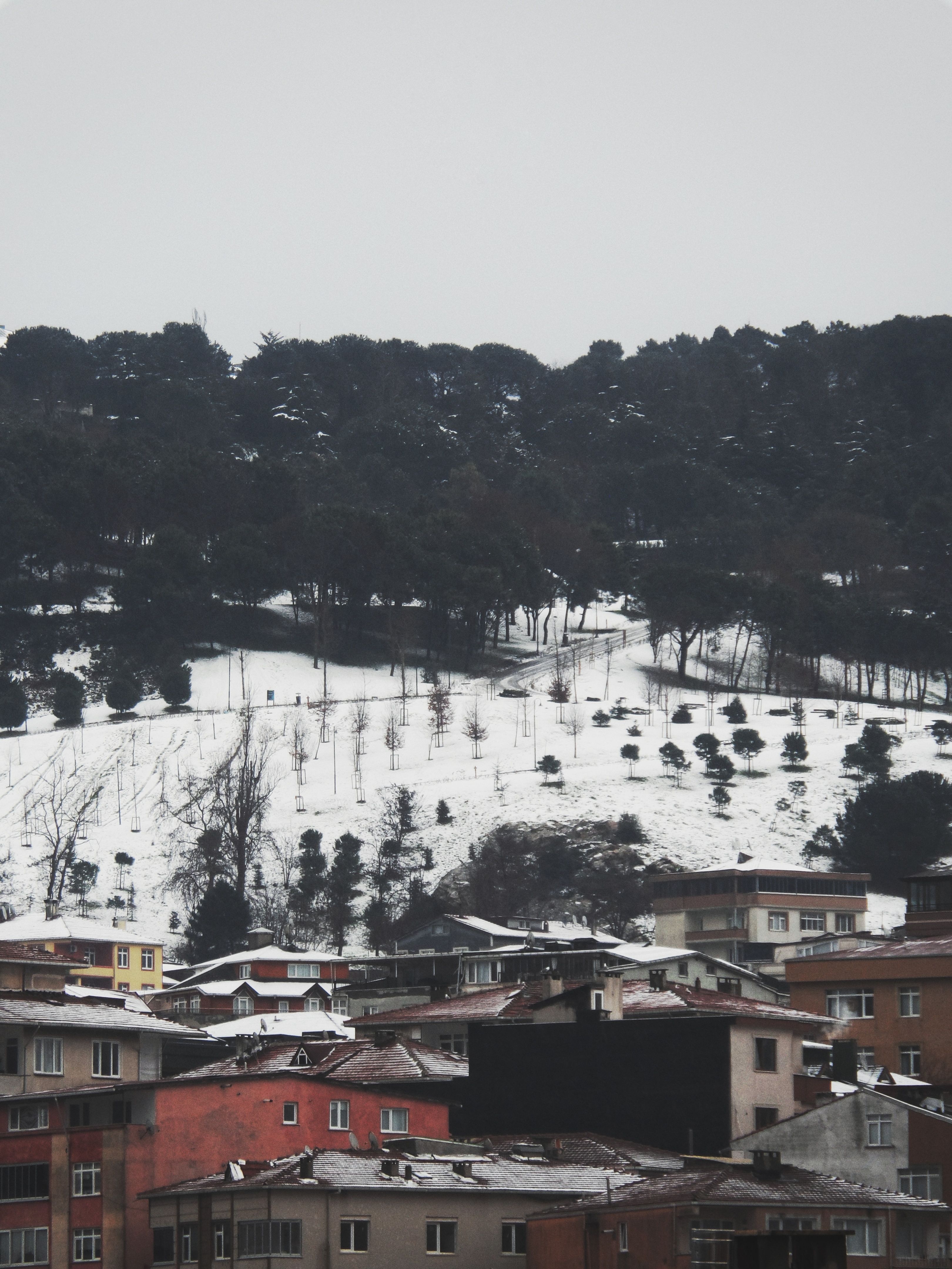 Snow-covered hillside with urban foreground · Free Stock Photo
