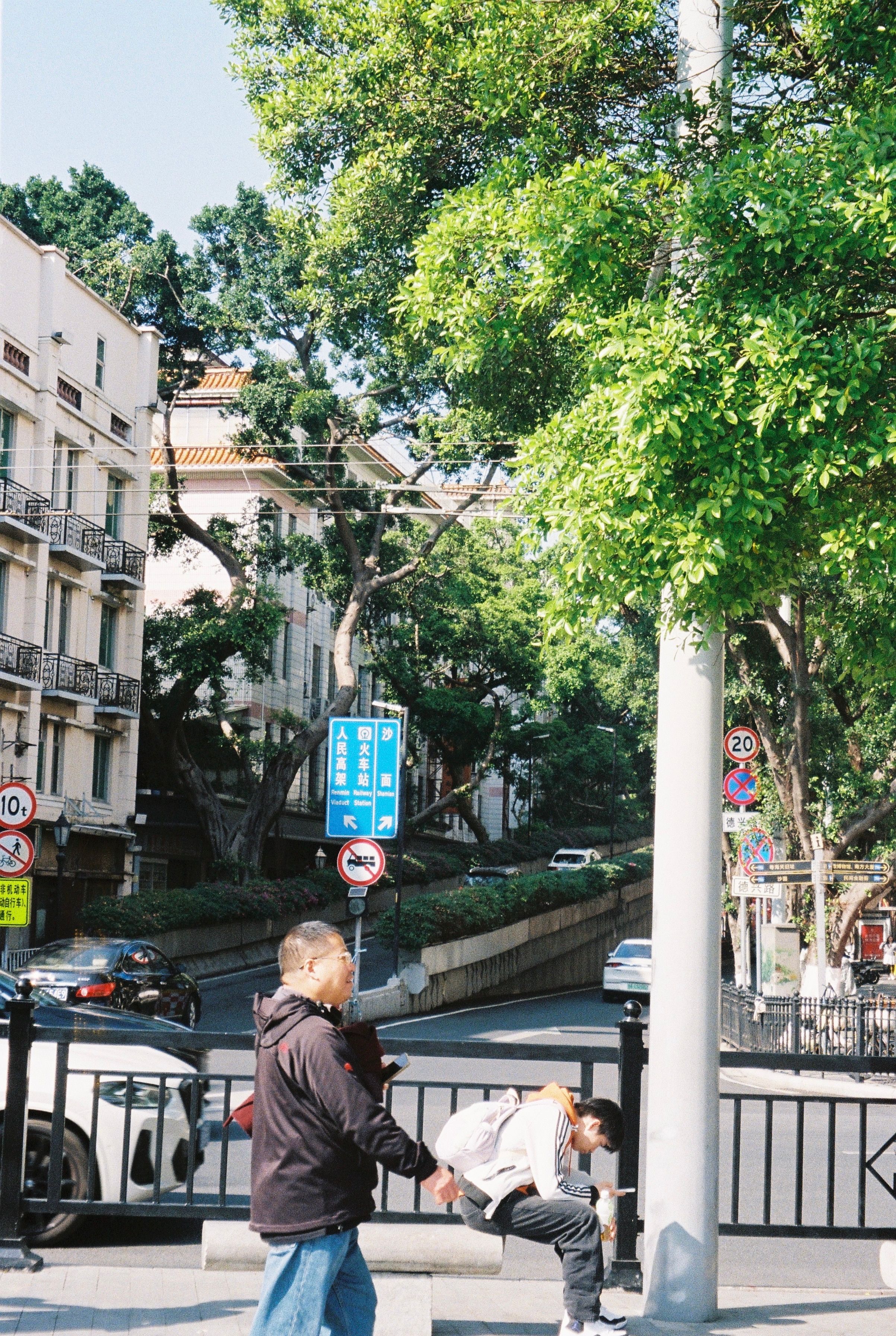 Urban Street Scene with Trees and Pedestrians · Free Stock Photo