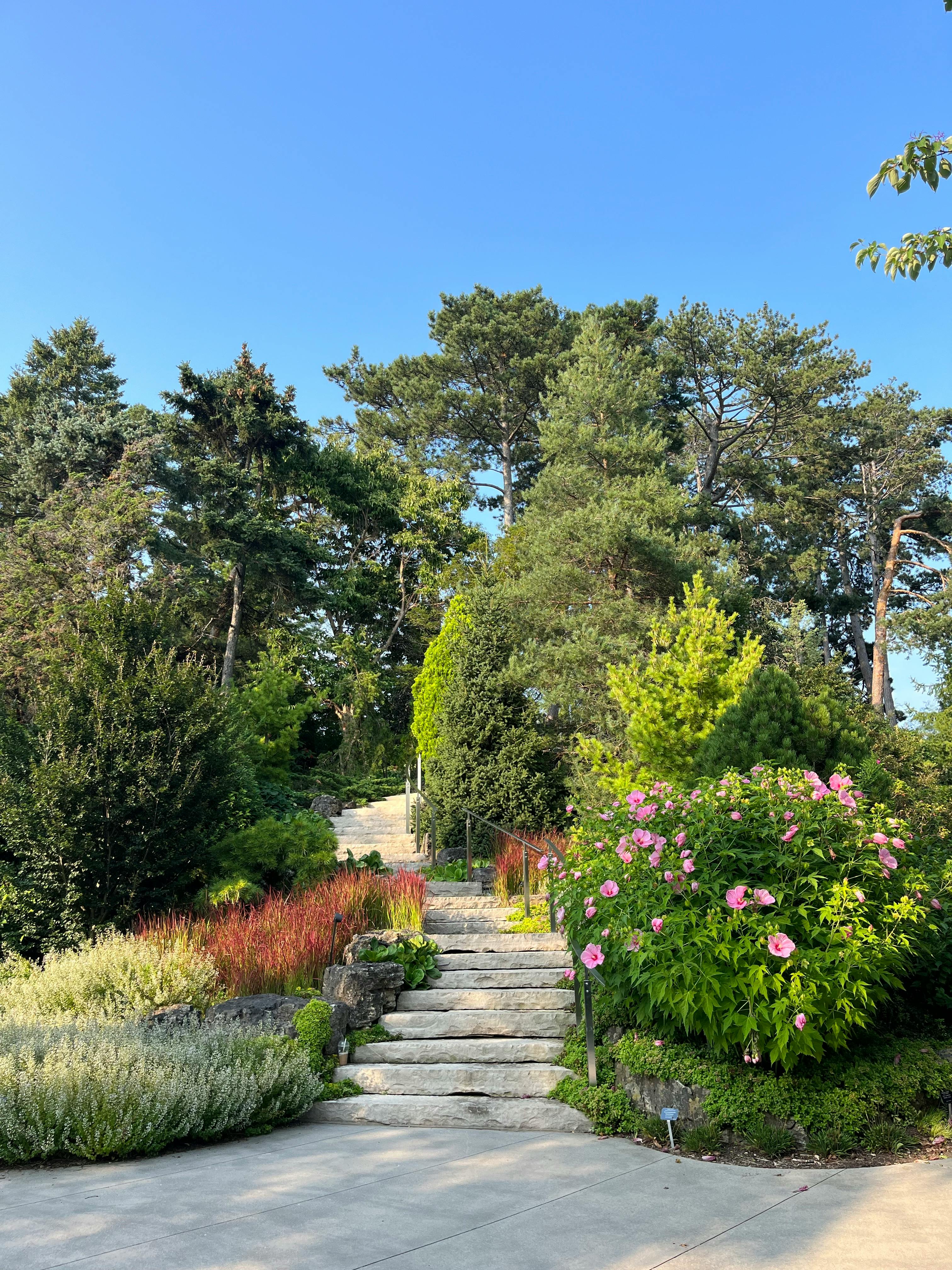 Beautiful Garden Pathway in Hamilton Botanical Garden · Free Stock Photo
