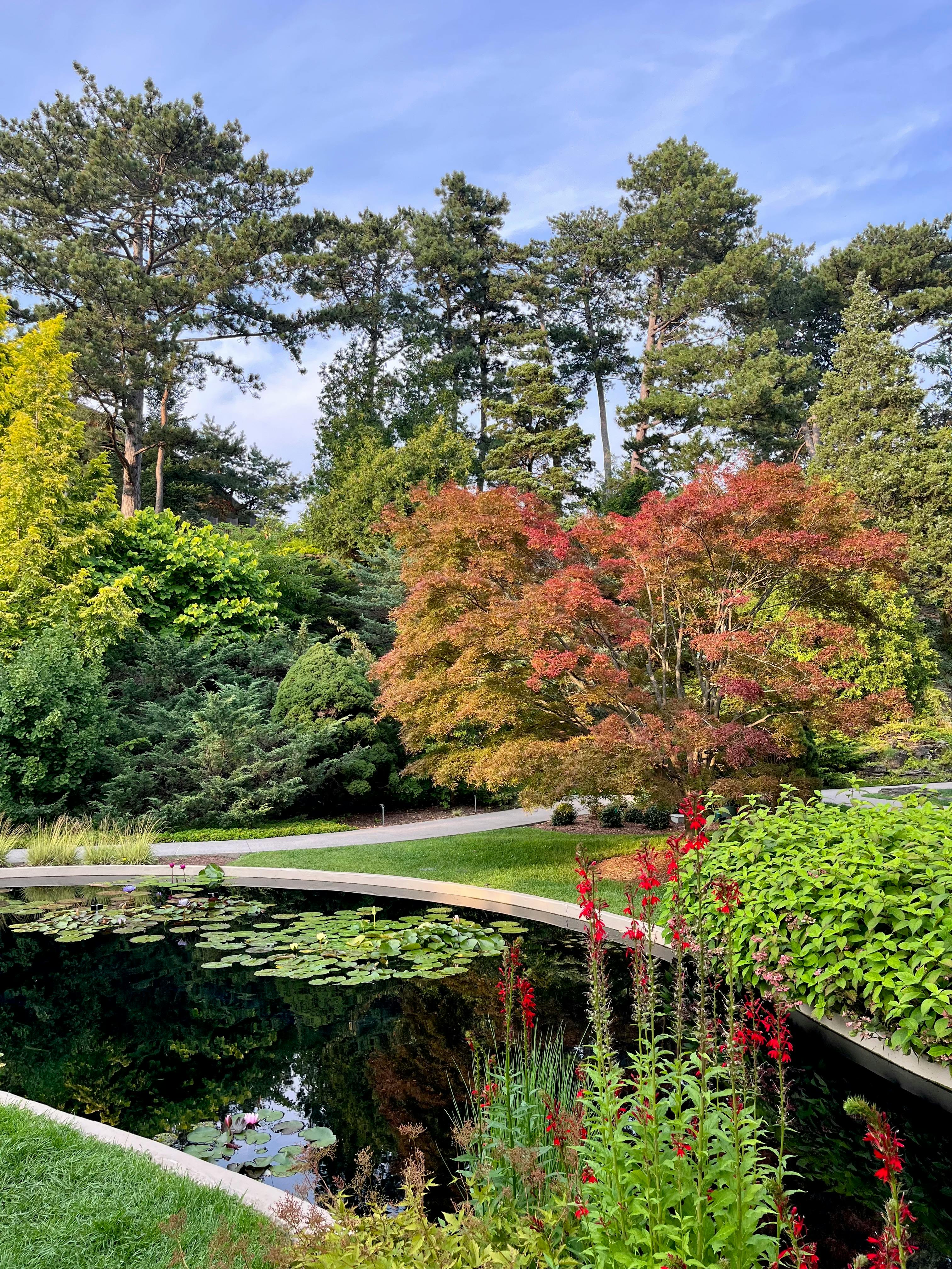 Stunning Fall Foliage in Hamilton Botanical Garden · Free Stock Photo
