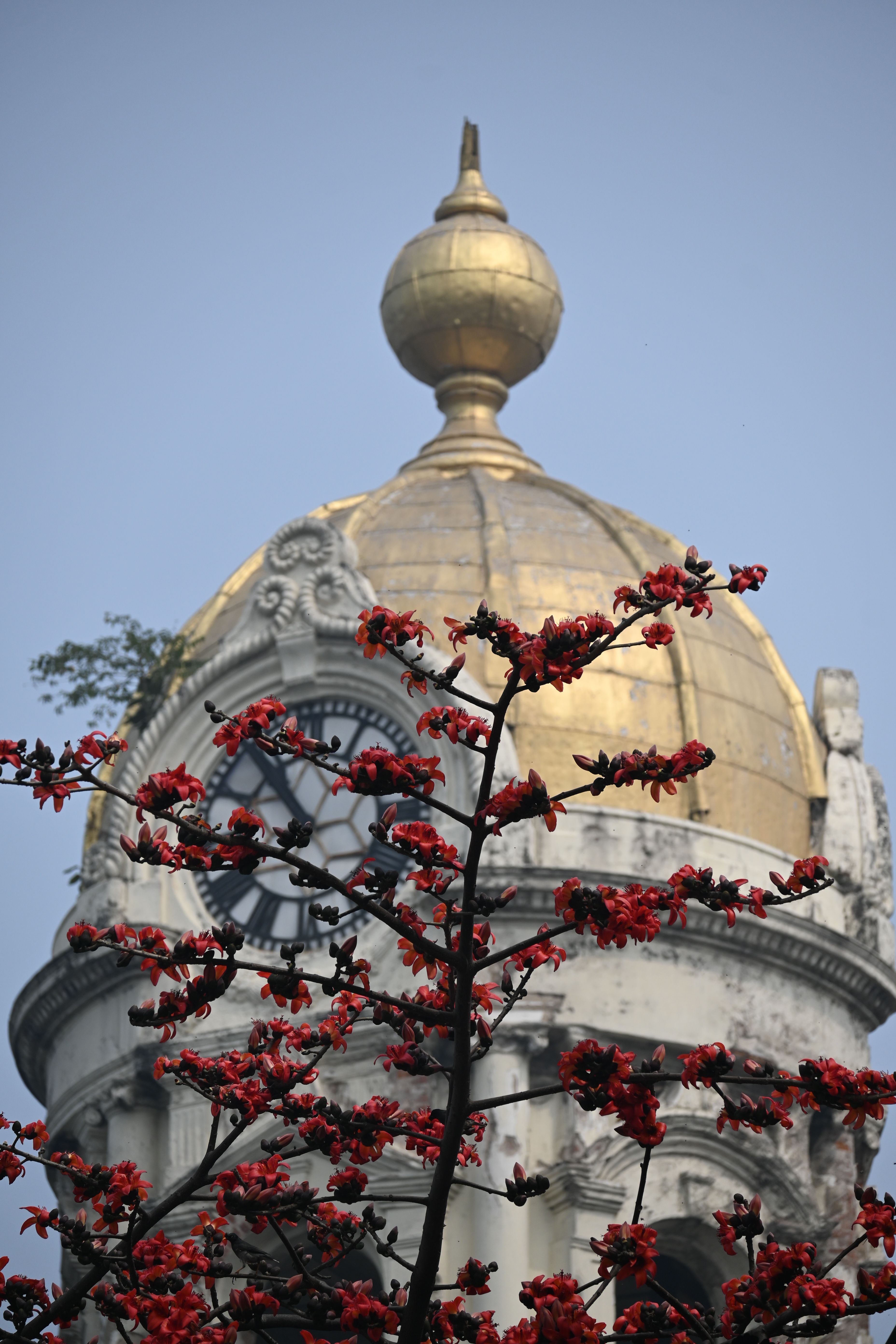 Heritage Dome and Red Flowers in Kolkata · Free Stock Photo