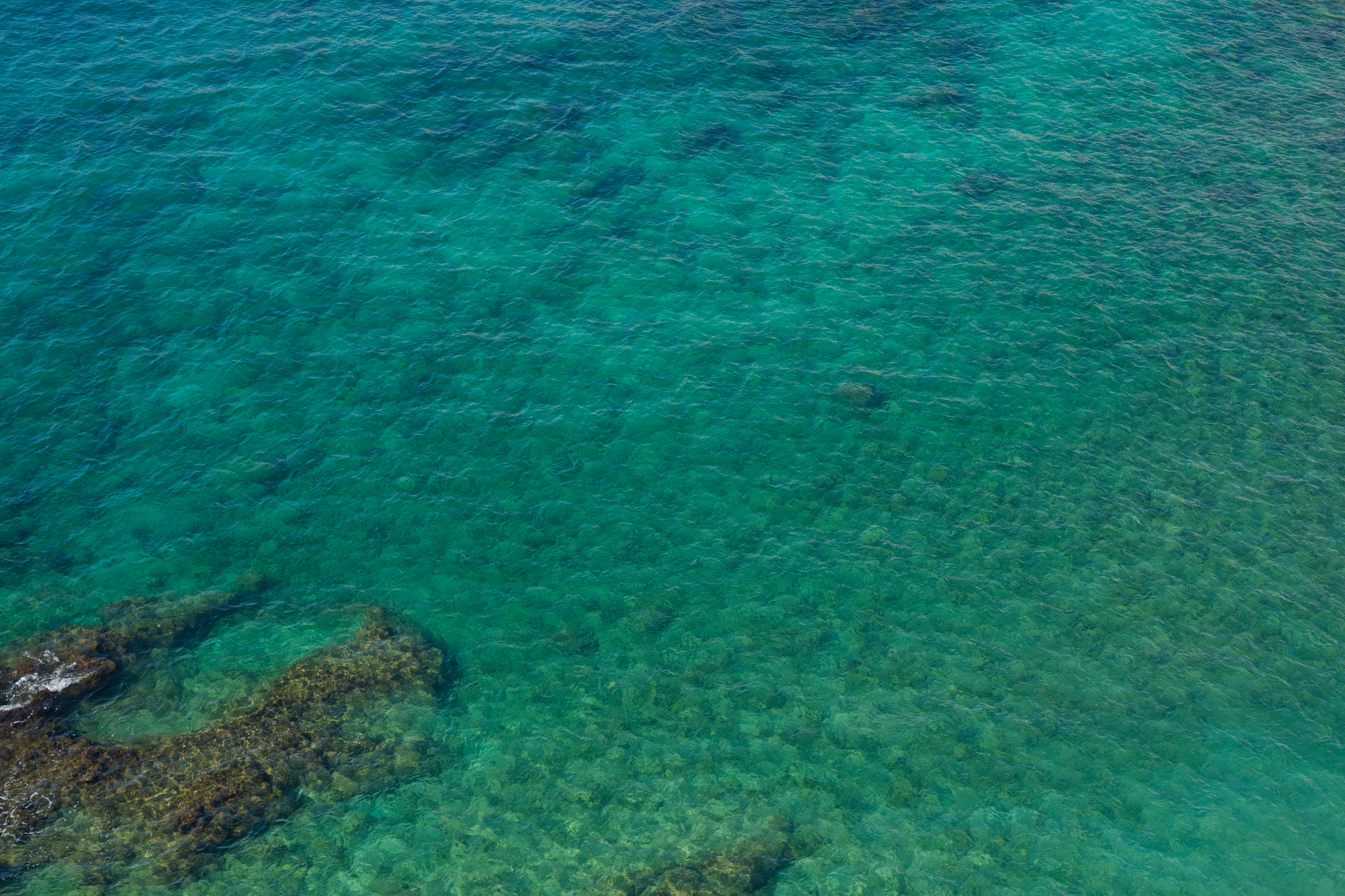 Aerial View Coral Reefs Photos, Download The BEST Free Aerial View ...