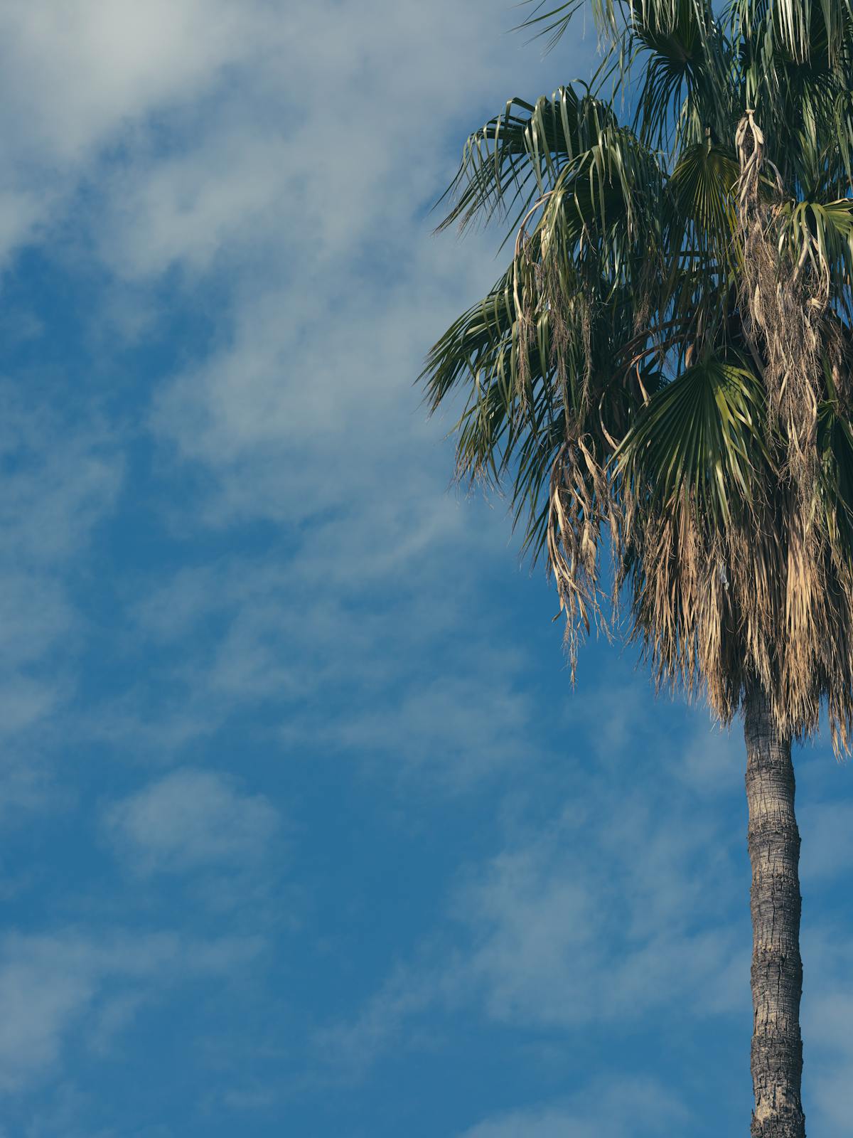 Tropical Background Photos, Download The BEST Free Tropical Background ...