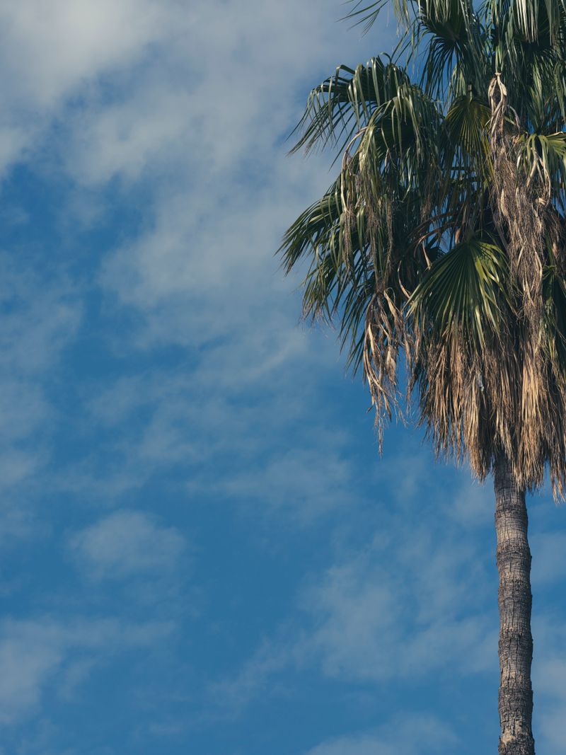 Tropical Background Photos, Download The BEST Free Tropical Background ...