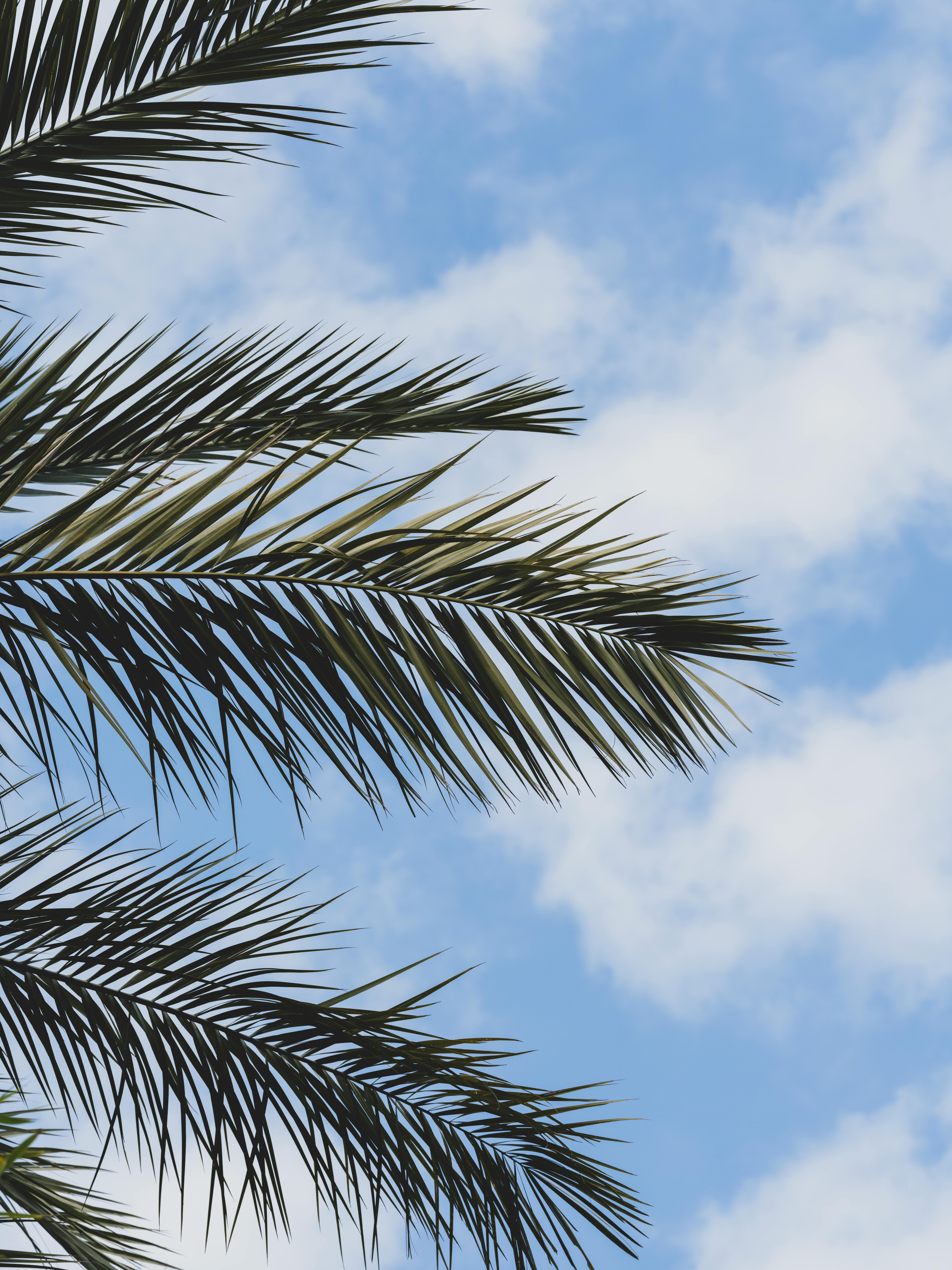 Warm Weather Background Photos, Download The BEST Free Warm Weather ...