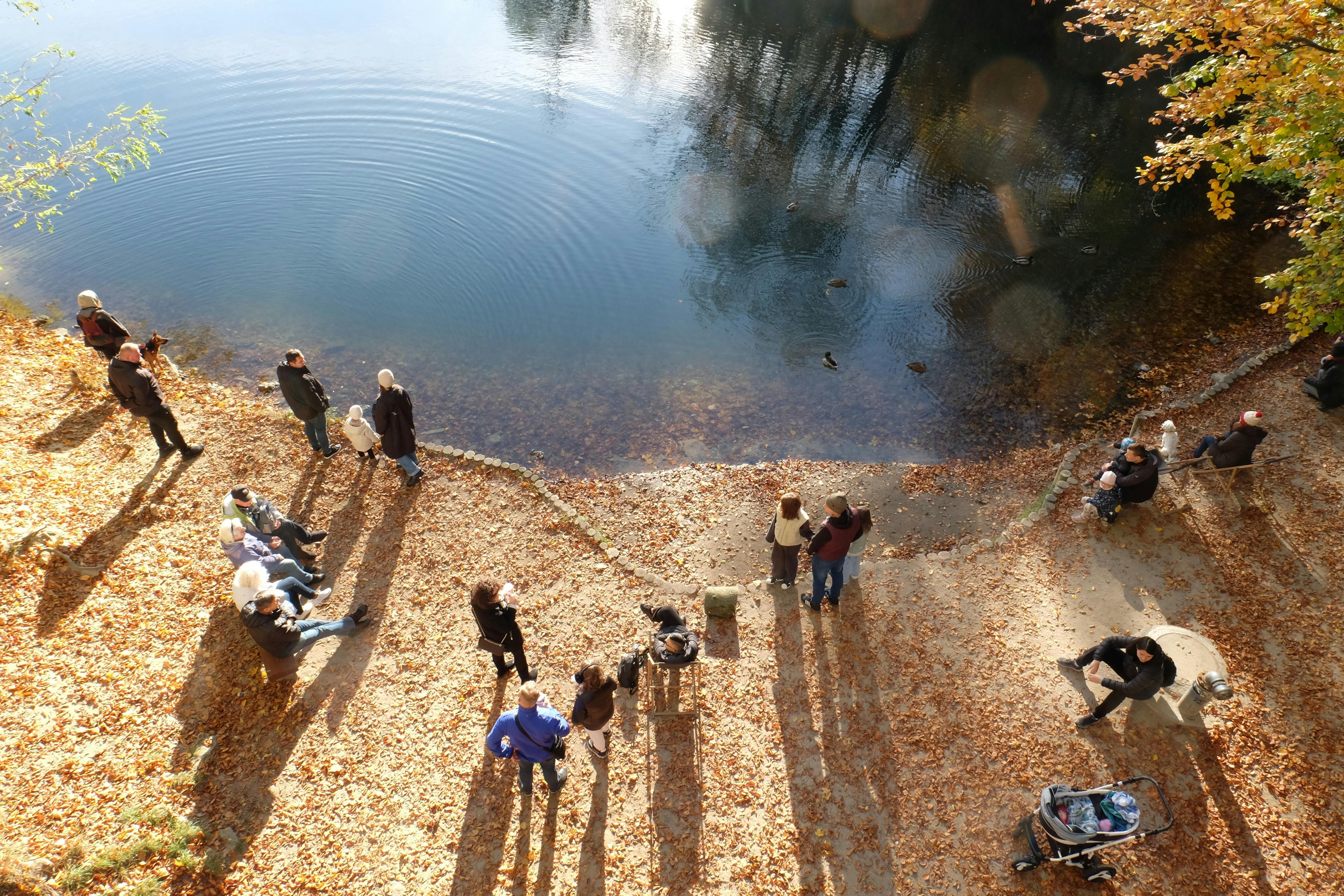 Group Walking In A Park Photos, Download The BEST Free Group Walking In ...