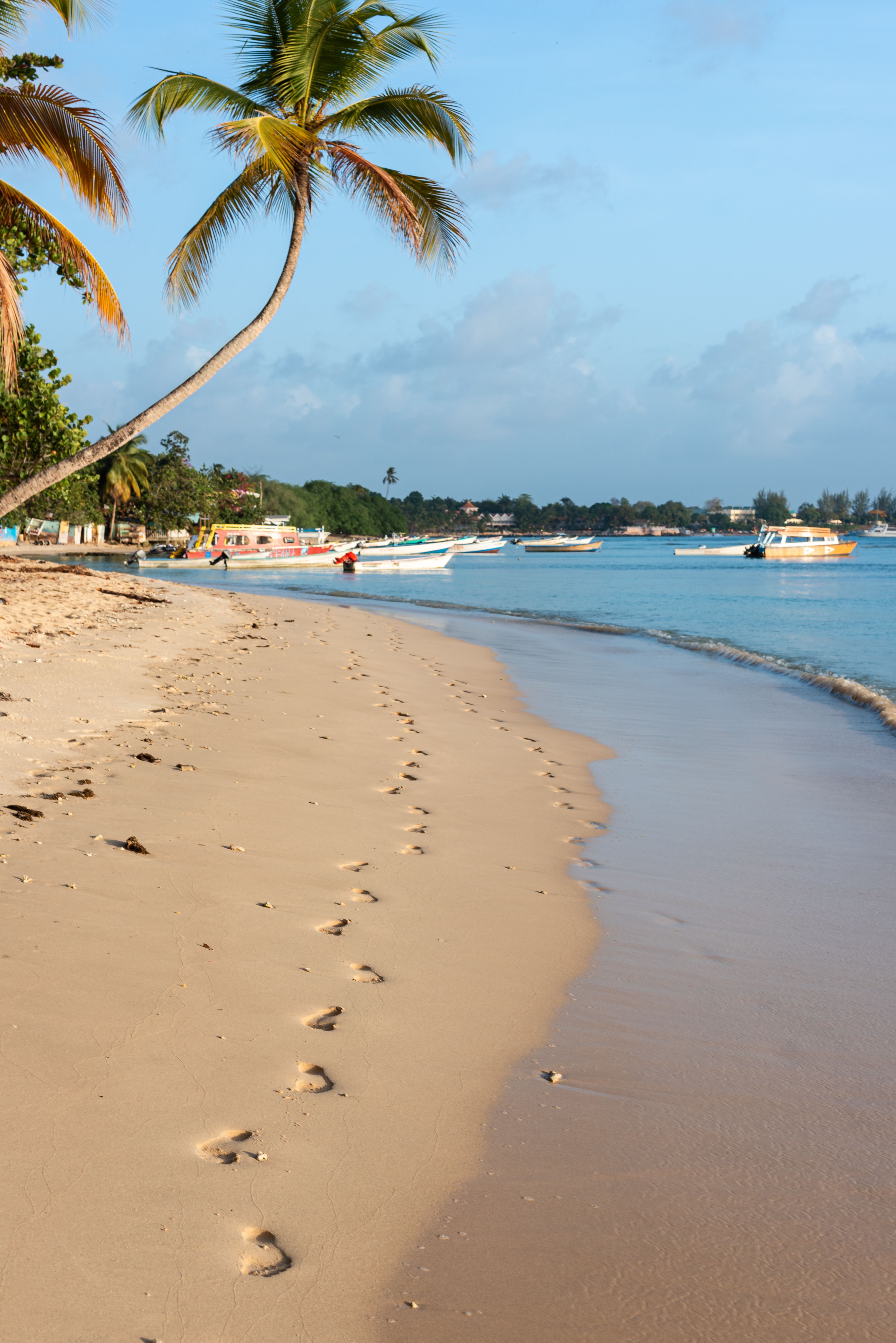 Pigeon Point Tobago Photos, Download The BEST Free Pigeon Point Tobago ...