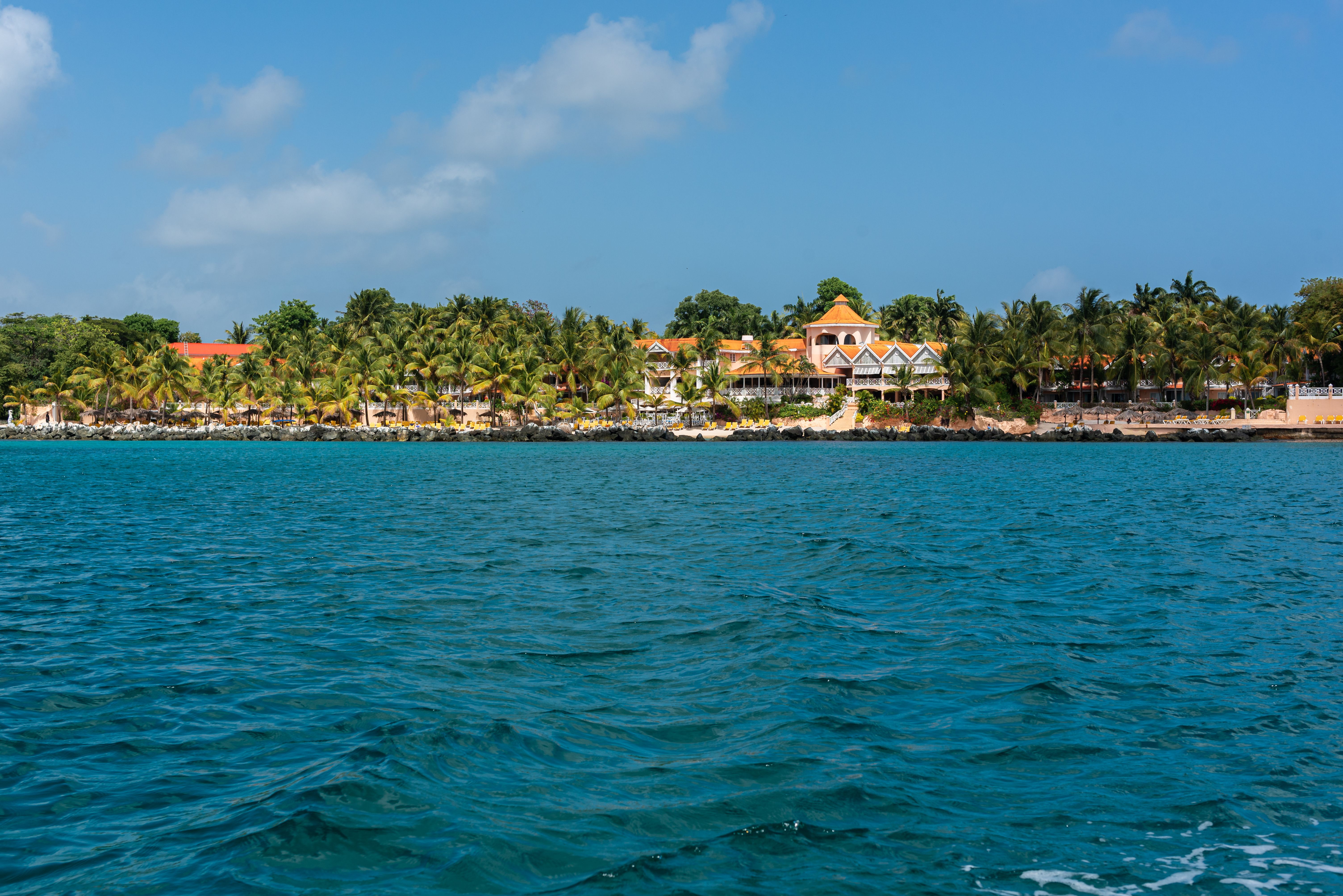 Scenic Beachfront View in Tobago, Caribbean Sea · Free Stock Photo