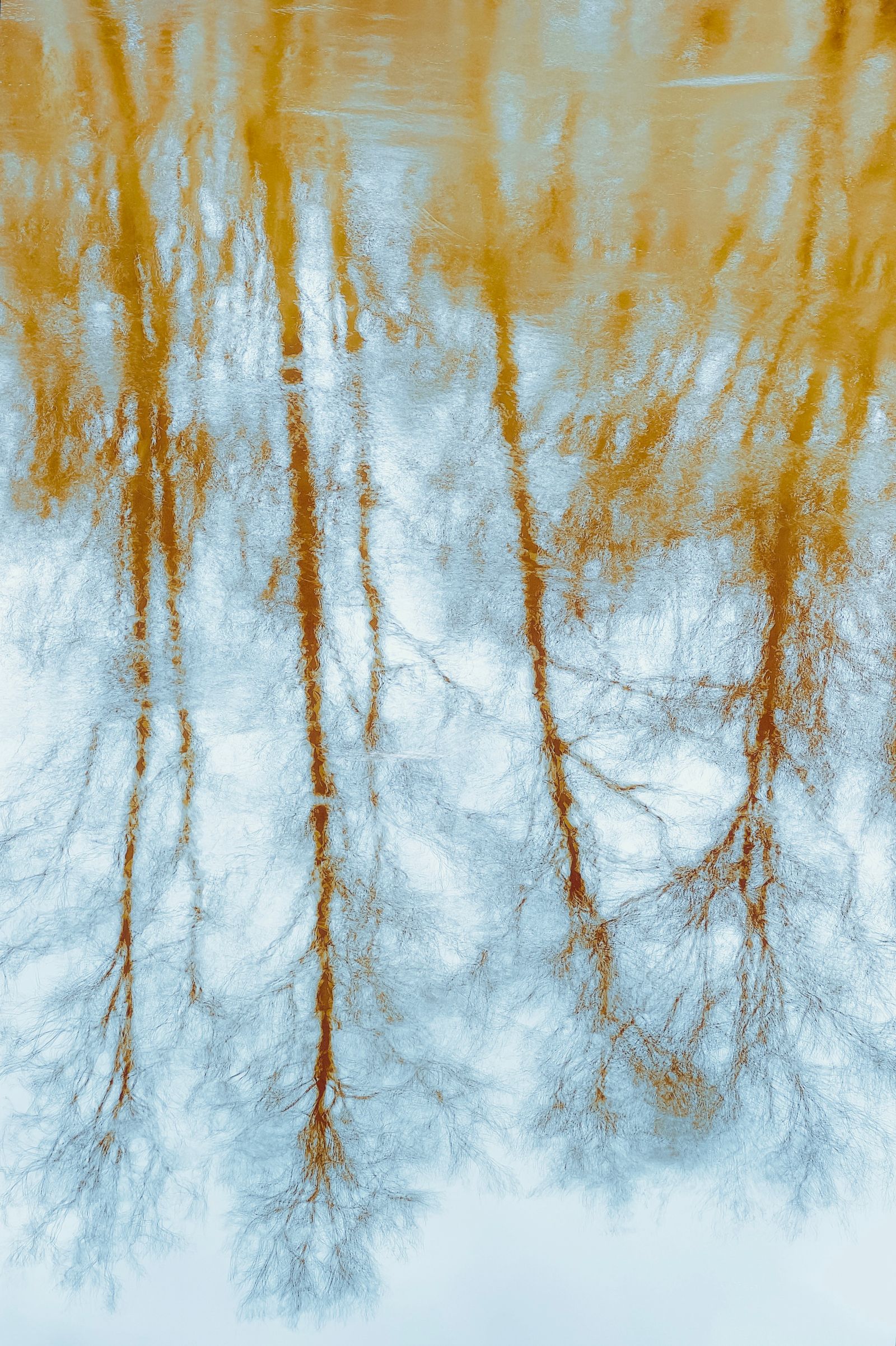 Abstract+Water+Reflection Photos, Download The BEST Free Abstract+Water ...