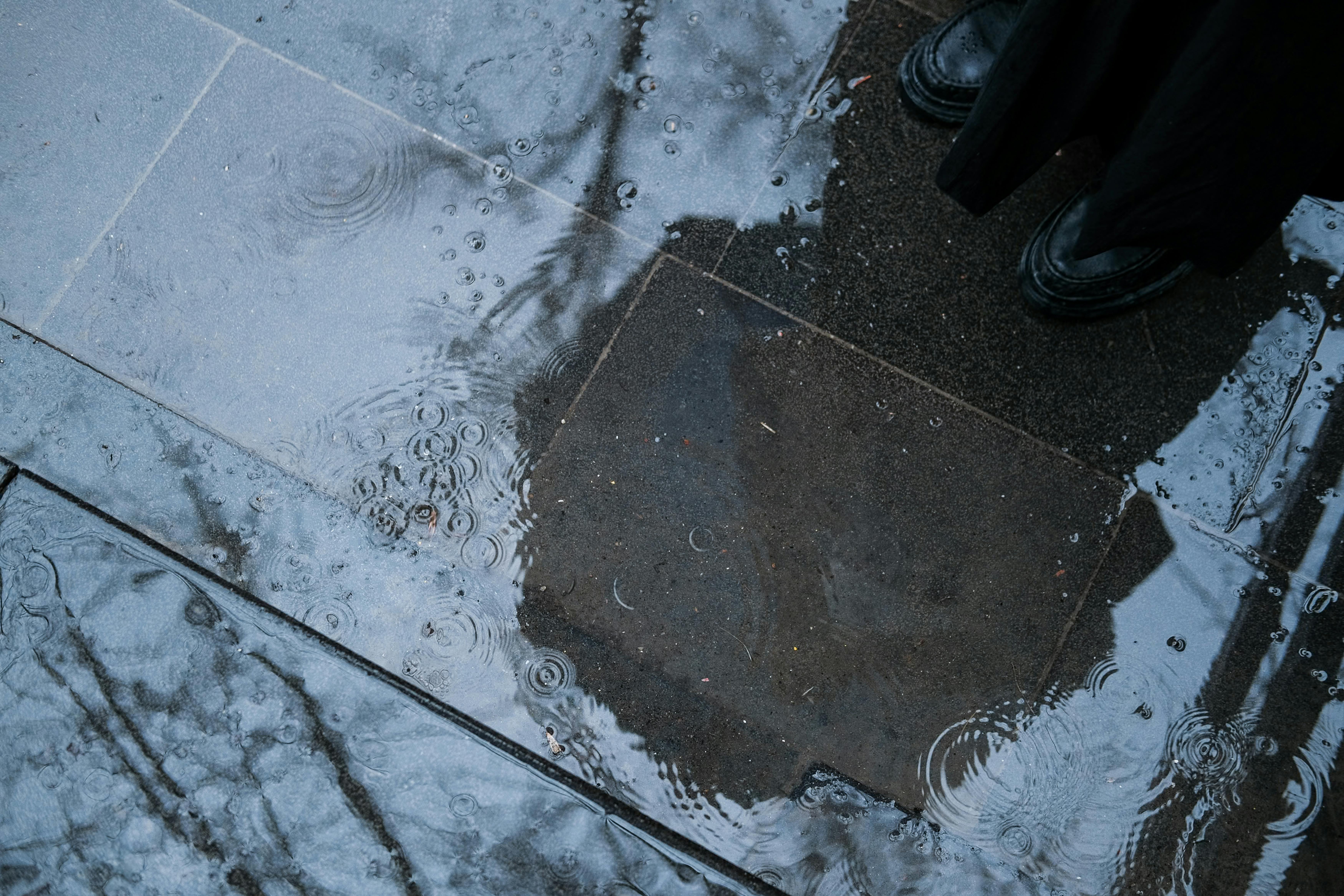 Boot Stepping in Autumn Rain Puddle Reflection · Free Stock Photo