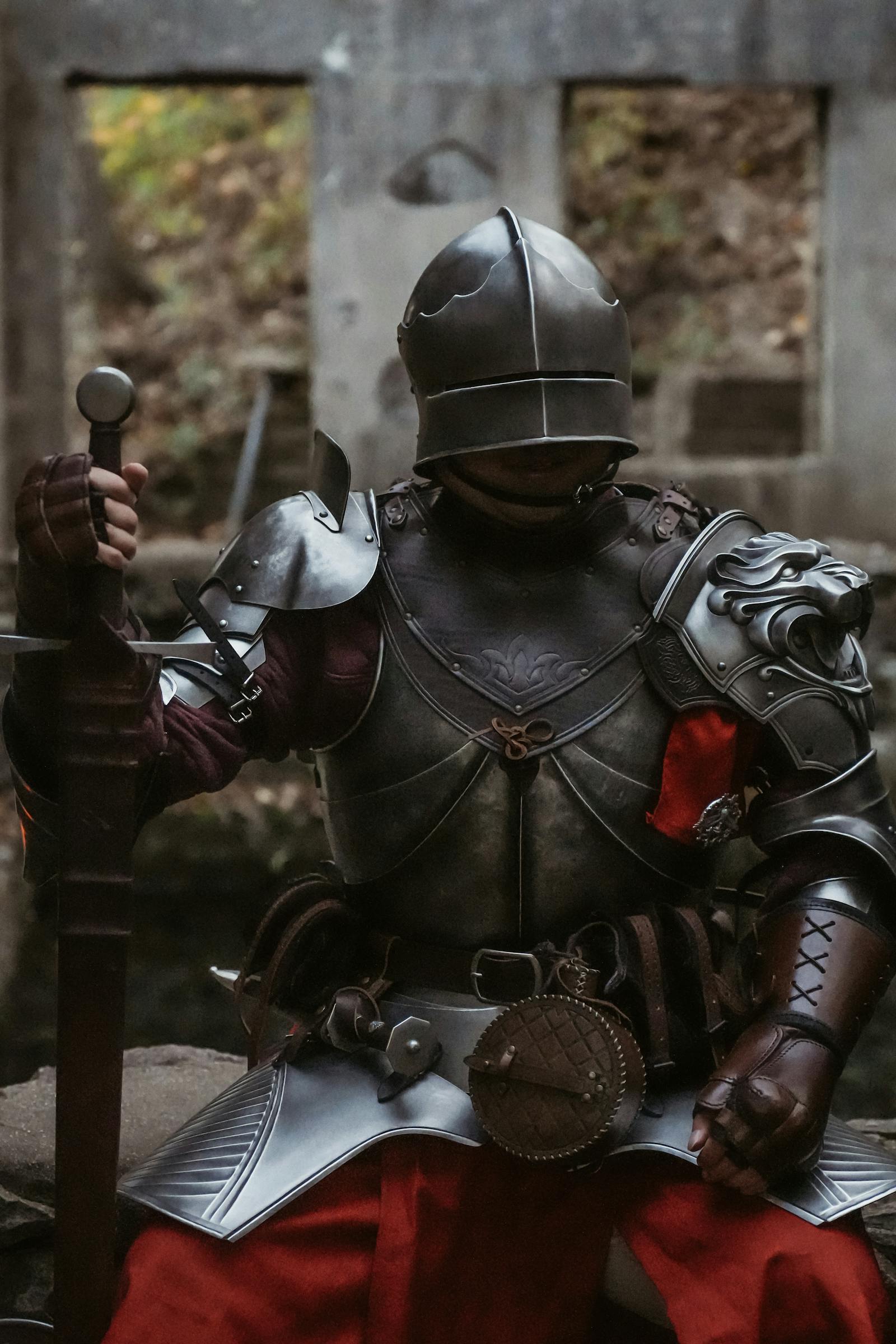 Armor Photos, Download The BEST Free Armor Stock Photos & HD Images