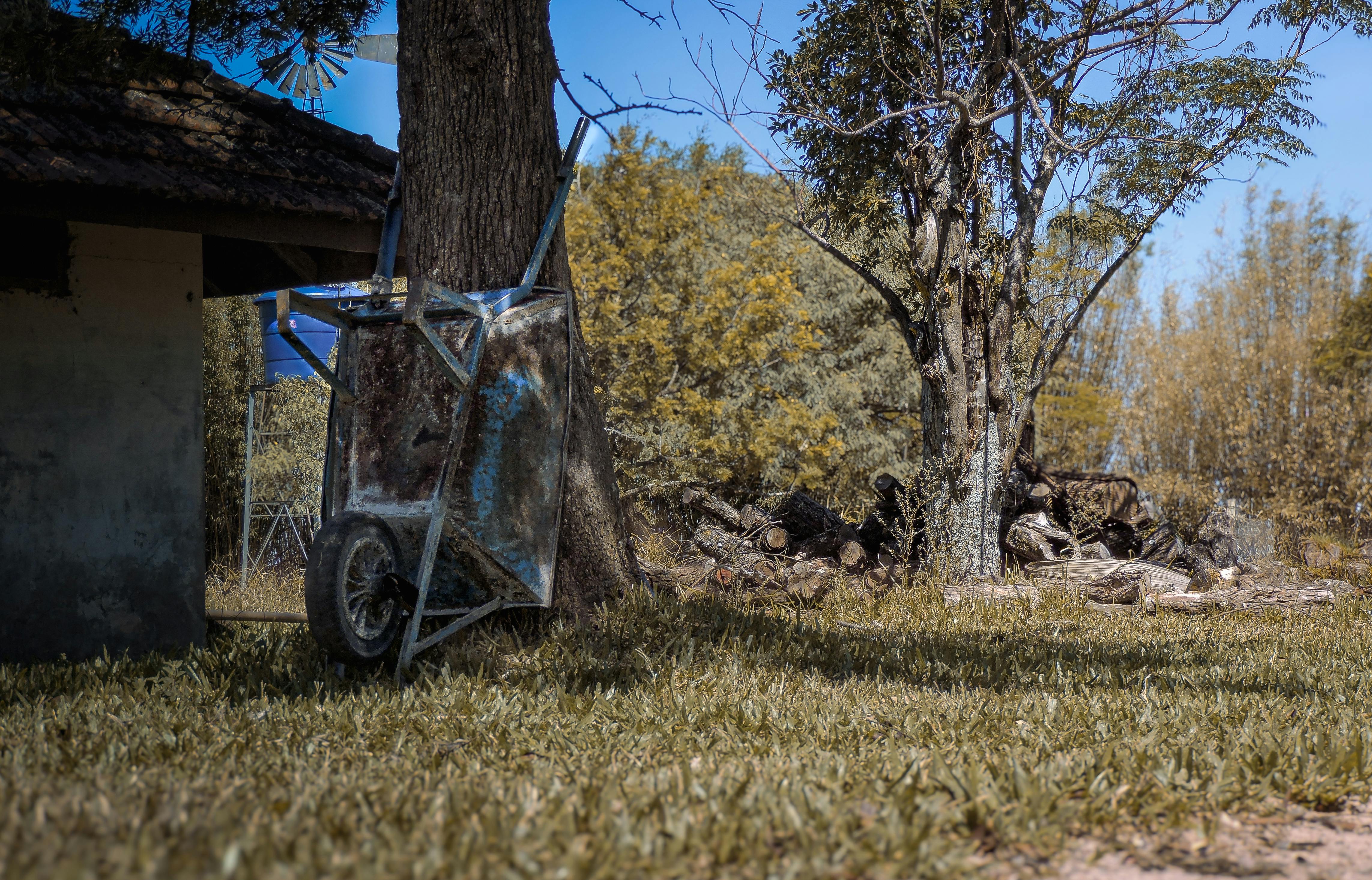 Rustic Farm Scene in Rio Grande do Sul, Brazil · Free Stock Photo