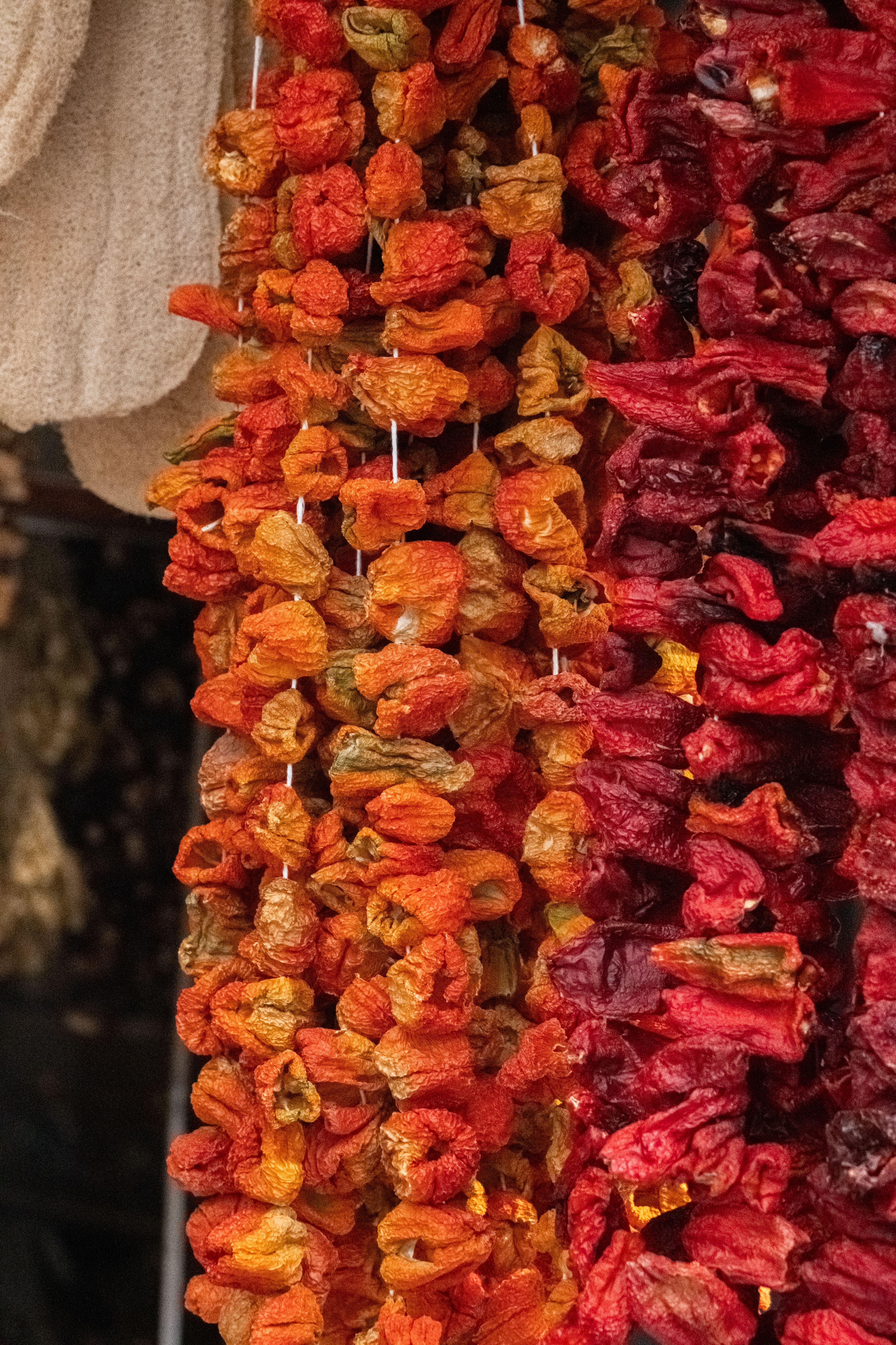 Vibrant Dried Peppers at a Gaziantep Market · Free Stock Photo