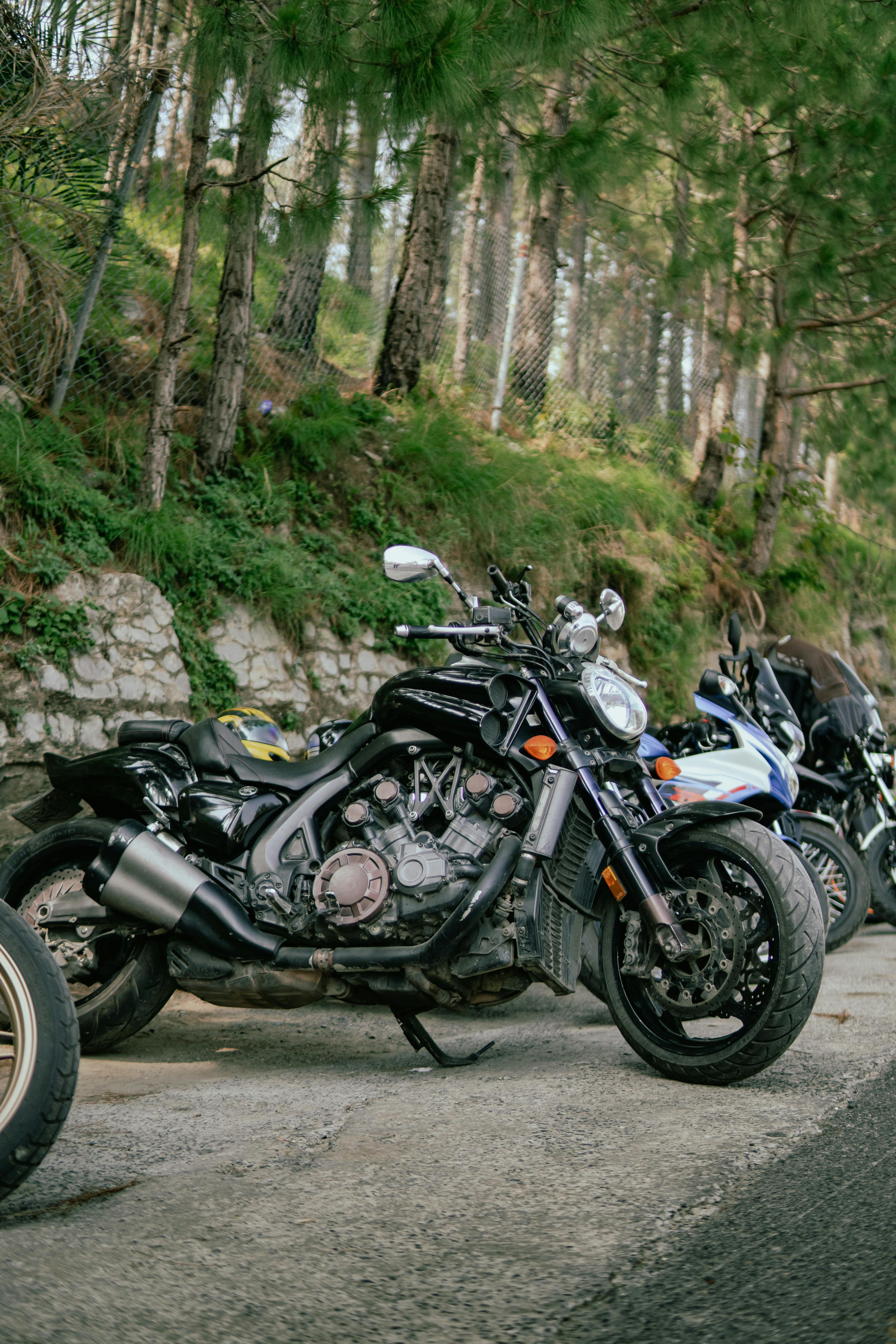 Motorcycles Parked on Forest Roadside · Free Stock Photo