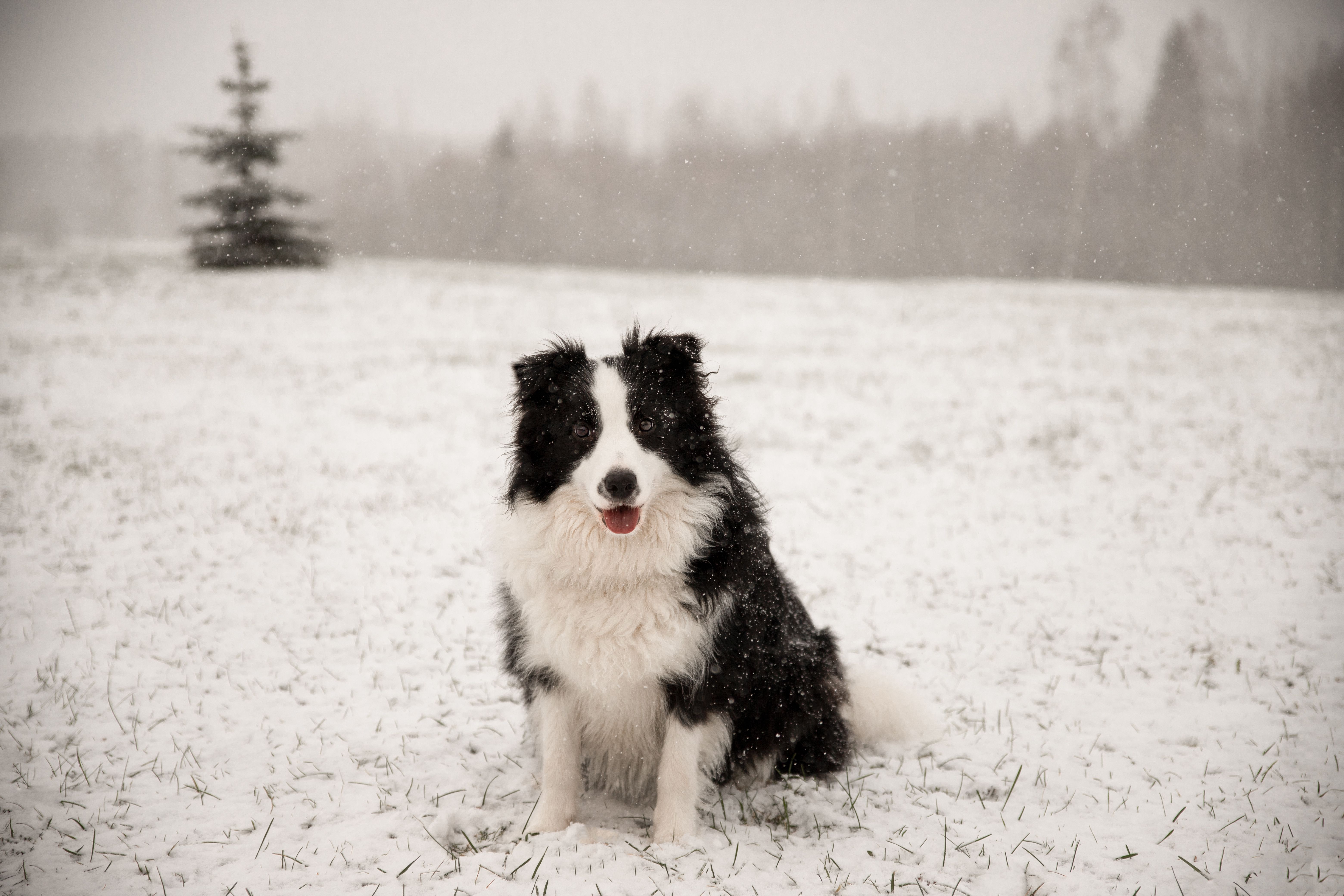 80,000+ Best Cute+foldrs Photos · 100% Free Download · Pexels Stock Photos