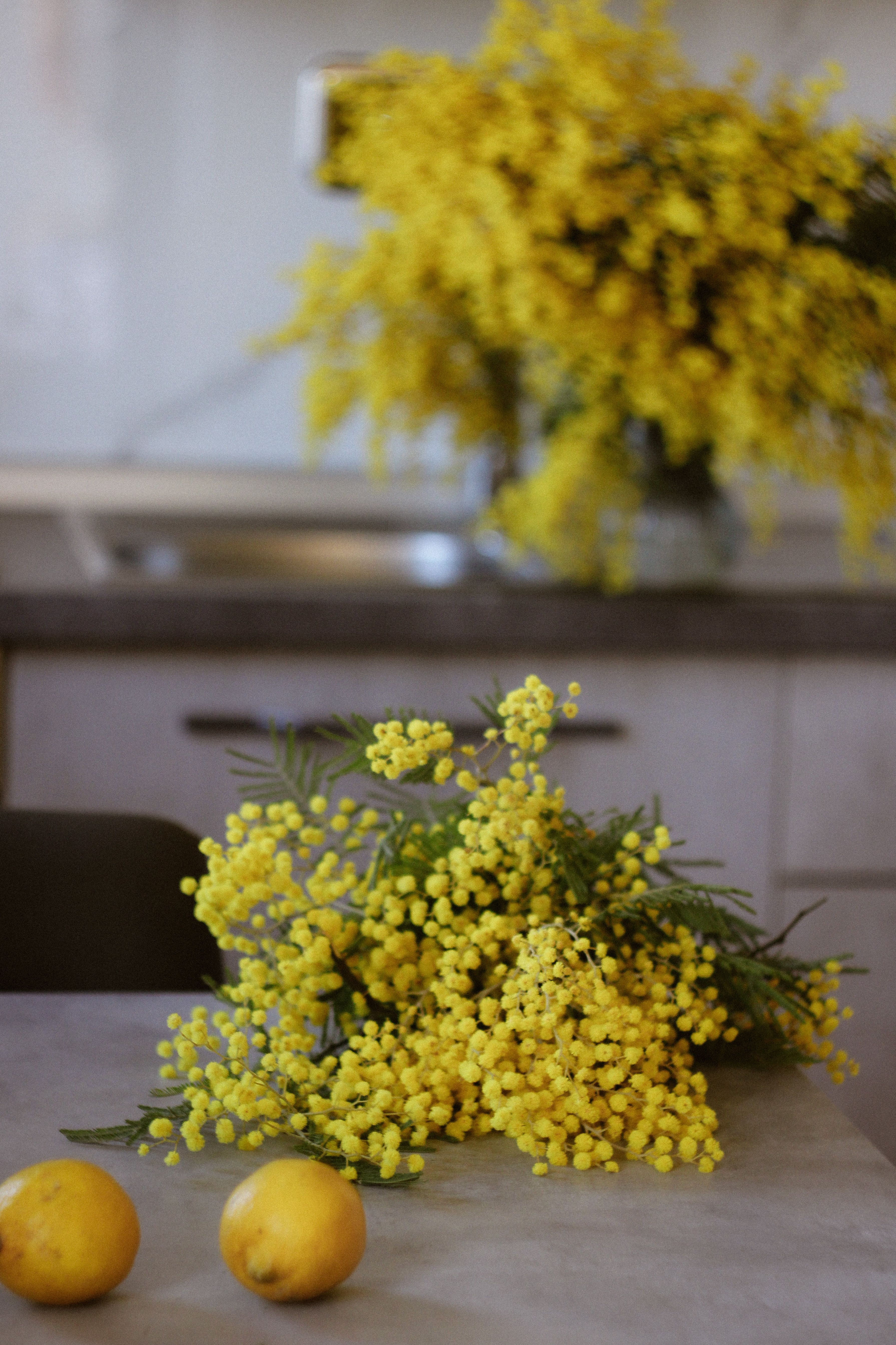 Bright Yellow Mimosa Flowers on Kitchen Table · Free Stock Photo