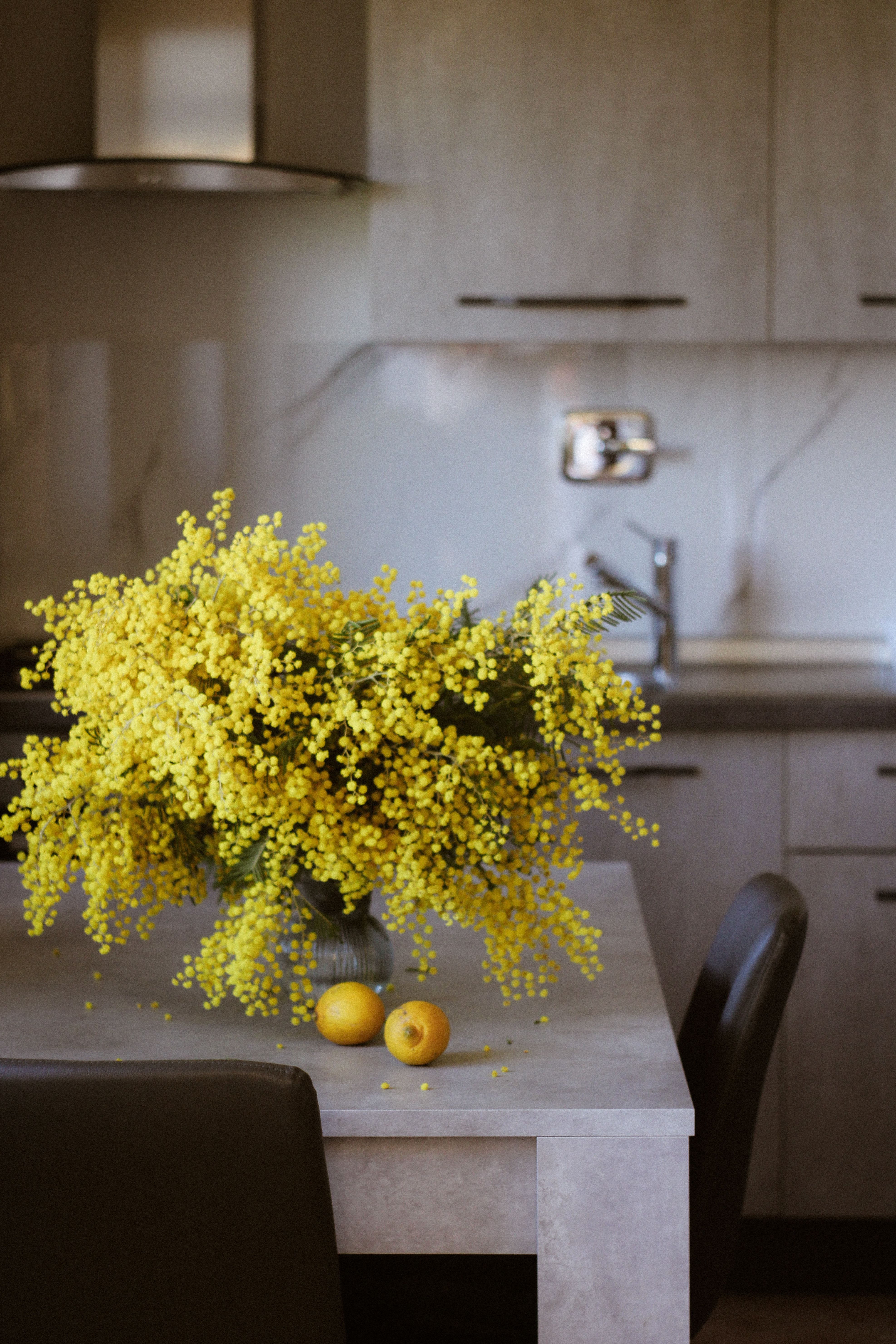 Elegant Kitchen Table with Vibrant Mimosa Flowers · Free Stock Photo