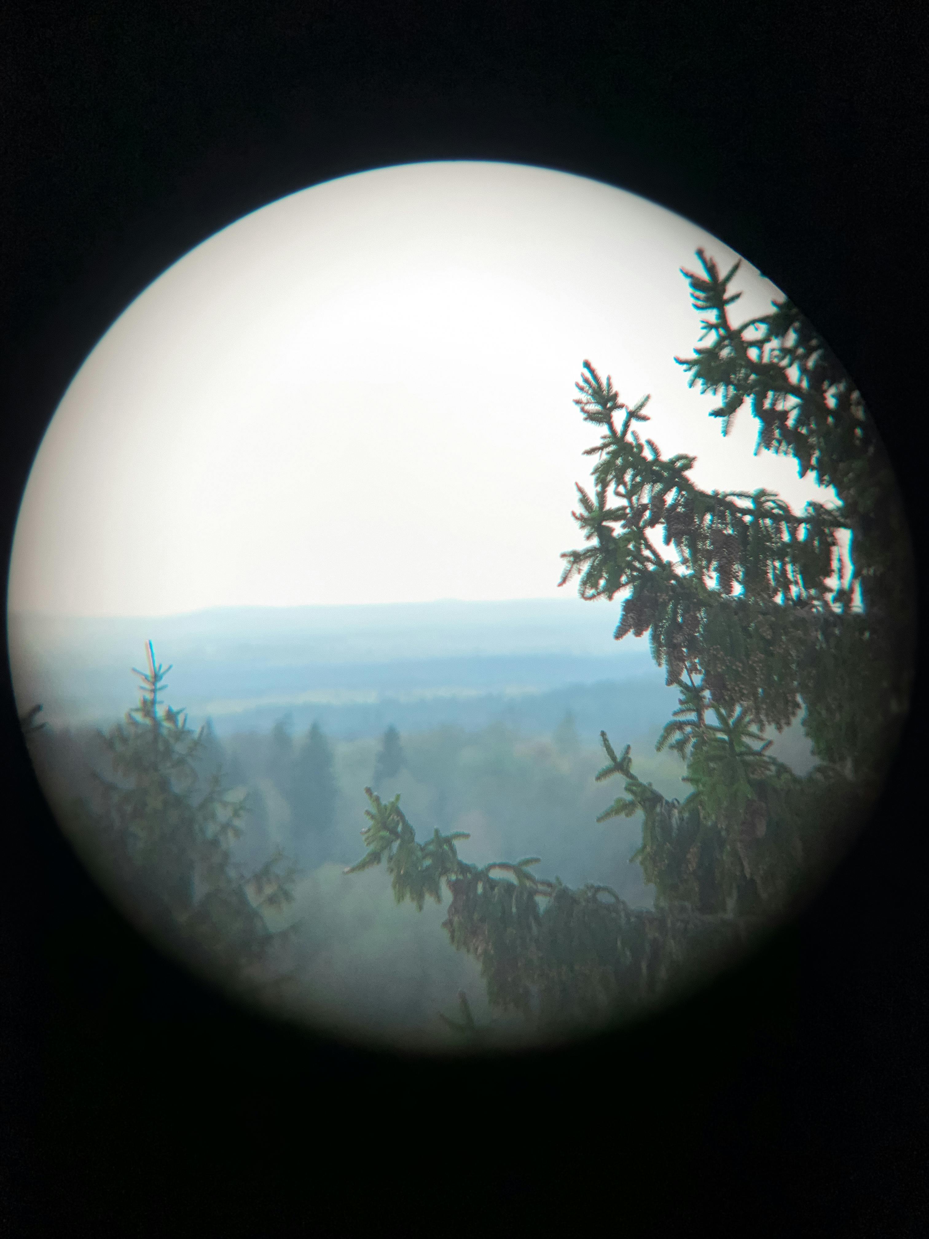 Scenic Forest View Through Circular Scope · Free Stock Photo