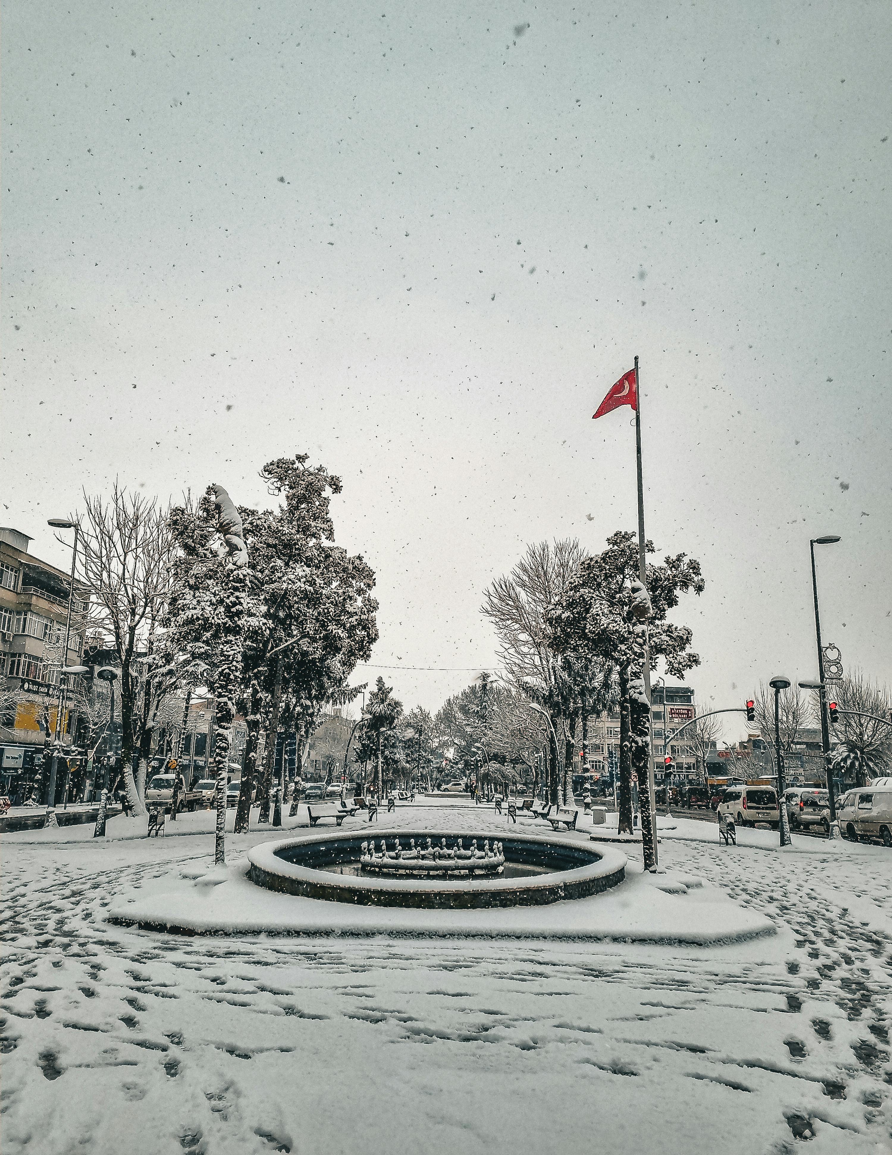 Snowy Winter Scene in Sakarya, Türkiye · Free Stock Photo