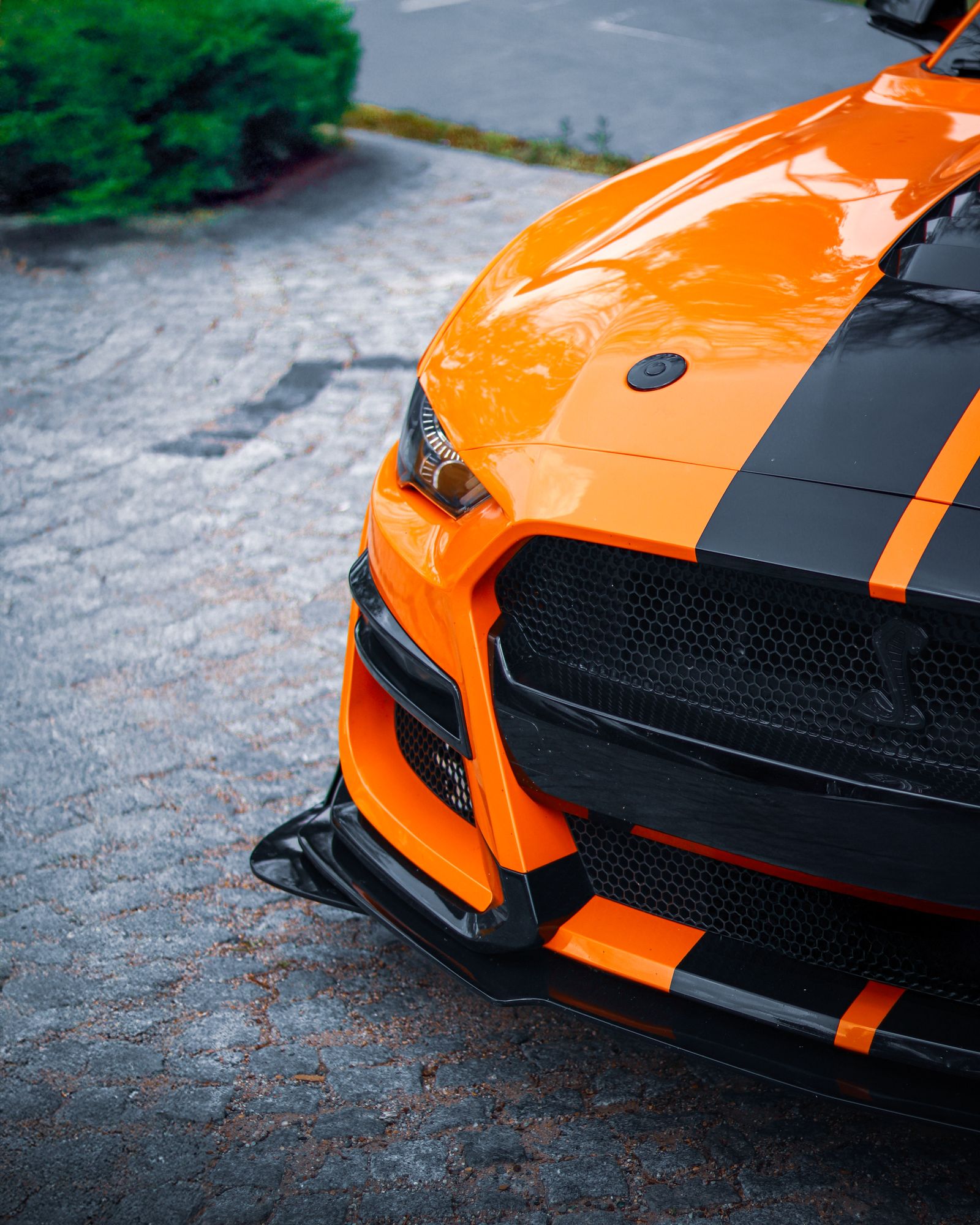 Ford Mustang Photos, Download The BEST Free Ford Mustang Stock Photos ...
