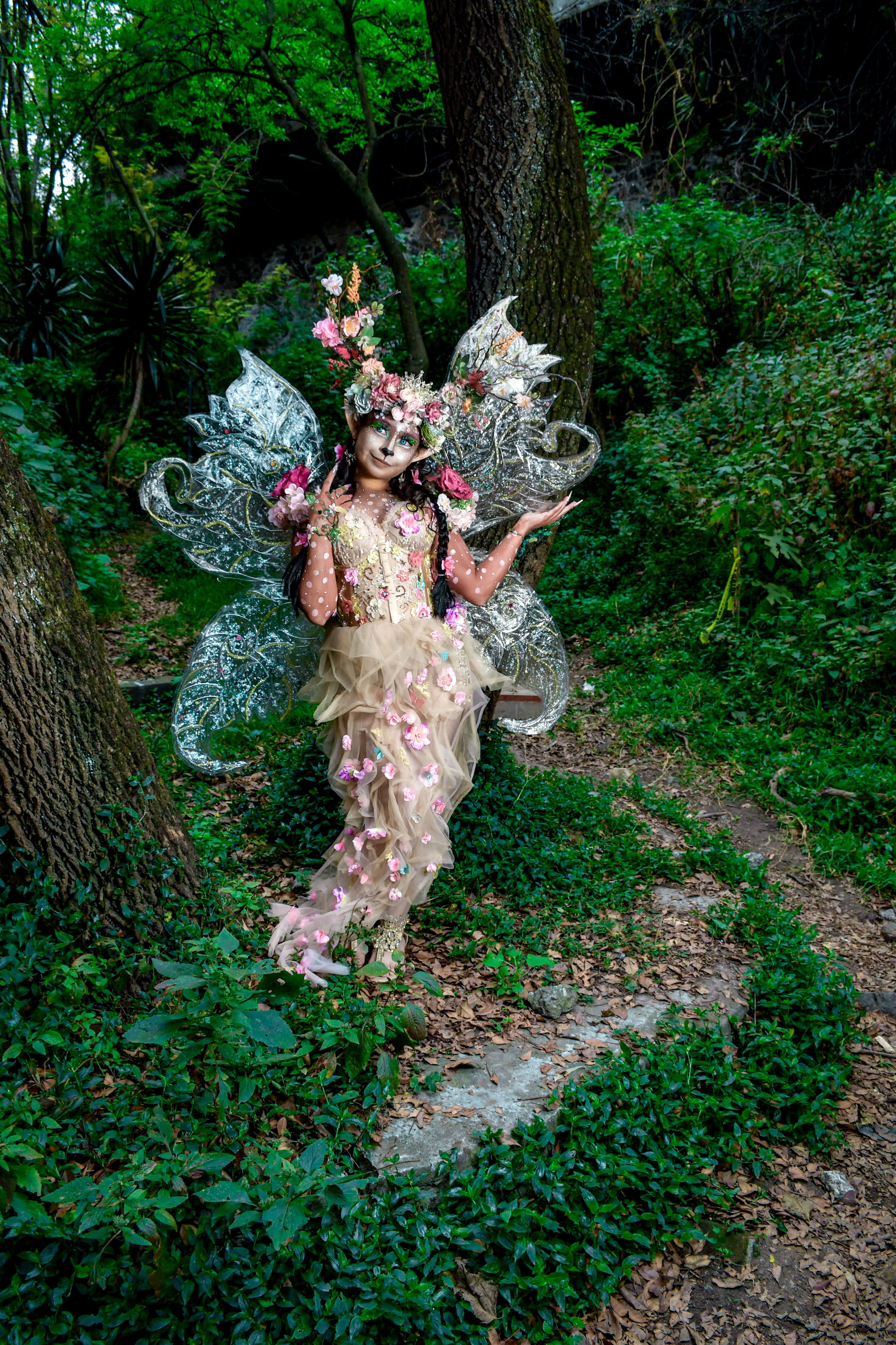 Enchanted Forest Fairy in Magical Costume · Free Stock Photo