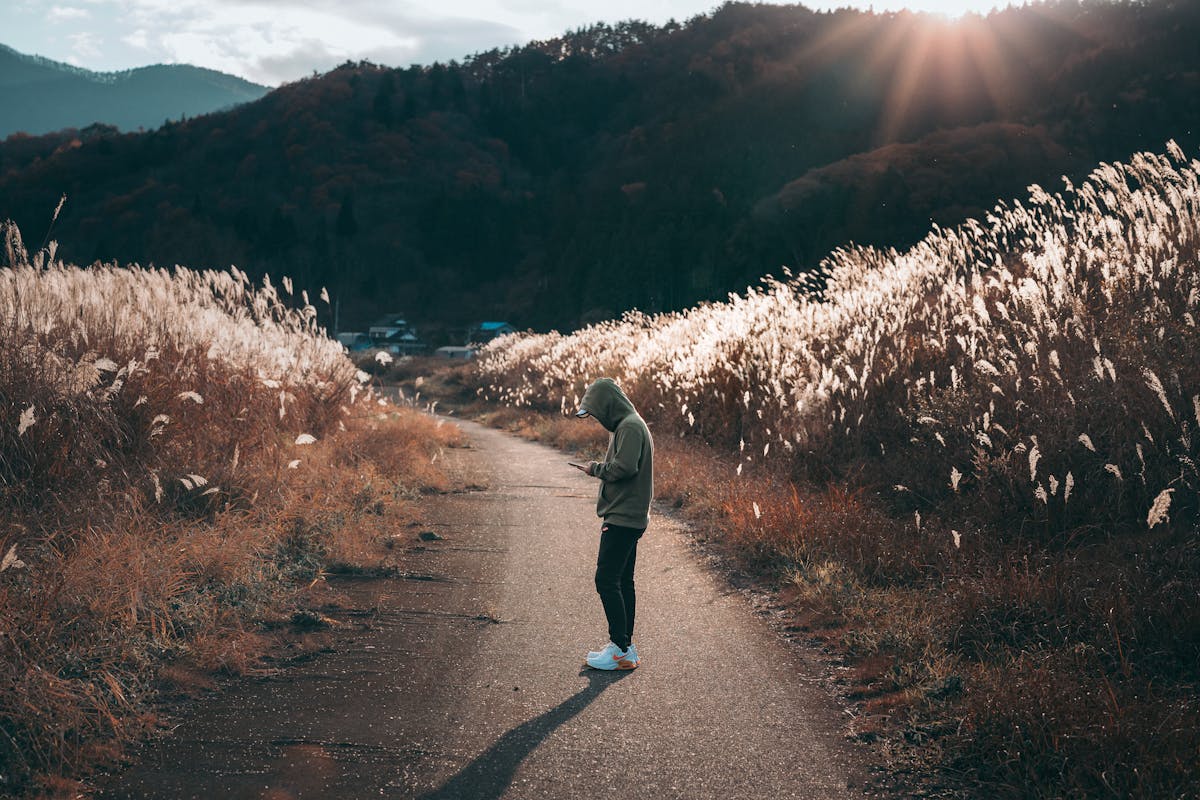 Autumn Path Photos, Download The BEST Free Autumn Path Stock Photos ...