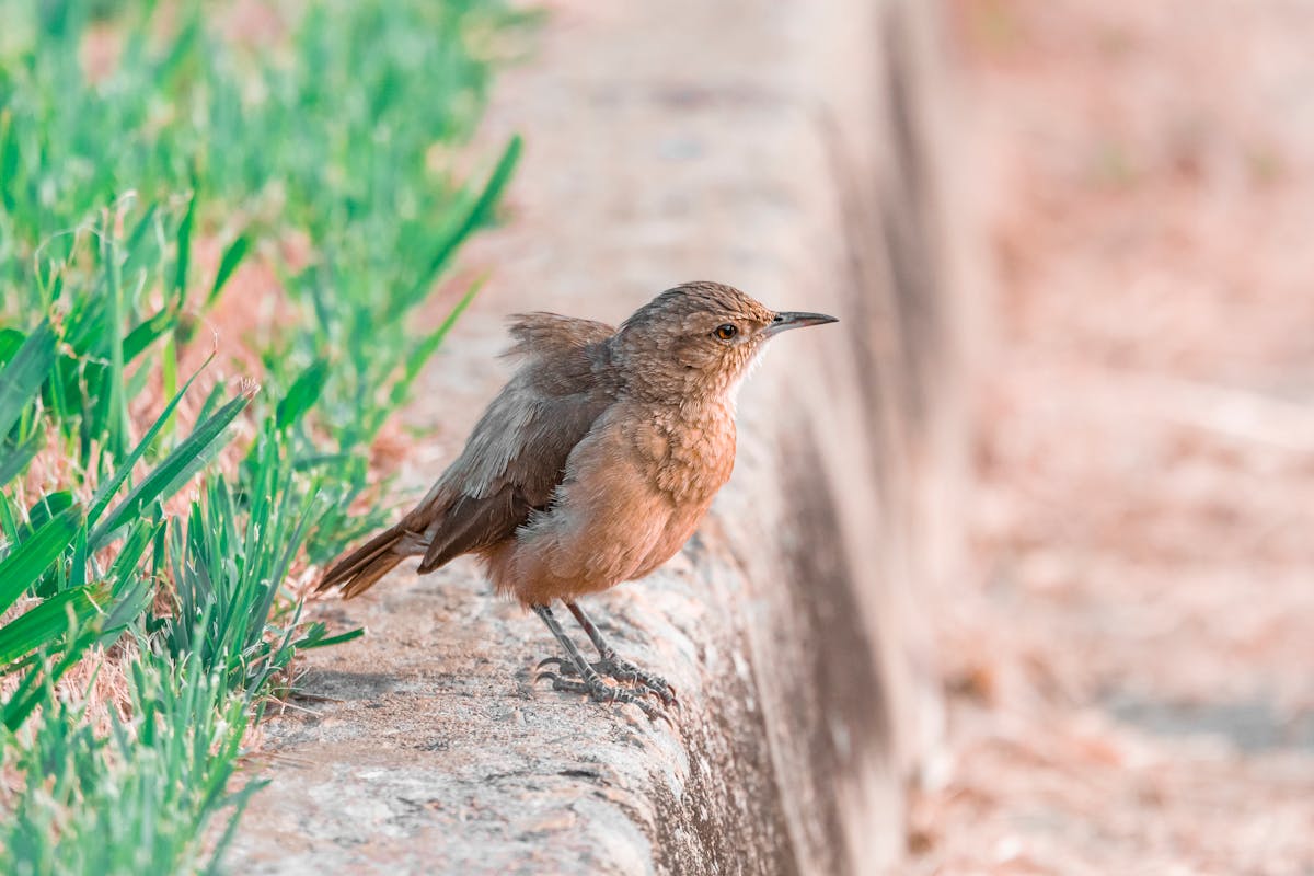 Small+Petite+Lightskin Photos, Download The BEST Free Small+Petite ...