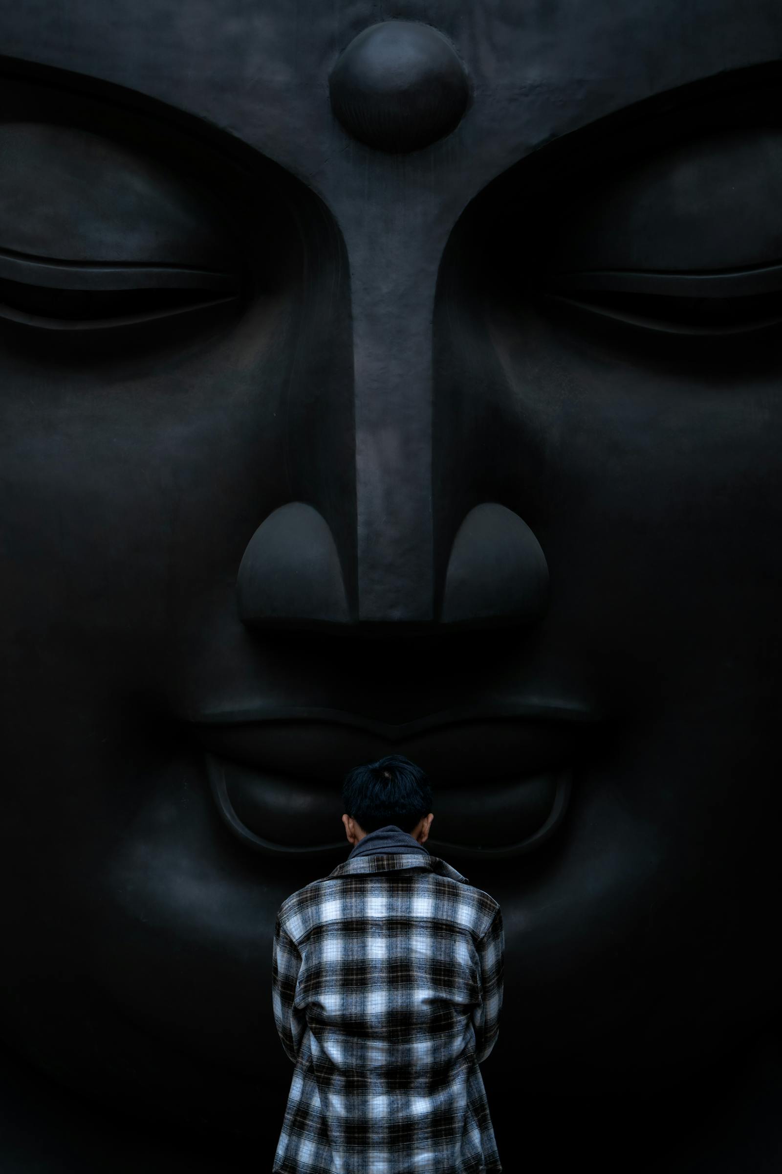 Giant Photos, Download The BEST Free Giant Stock Photos & HD Images