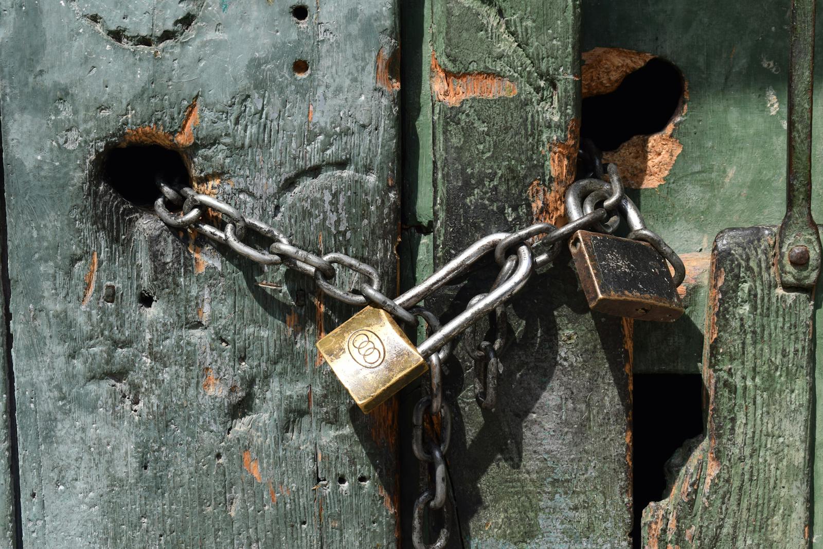 Close Up Texture Photos, Download The BEST Free Close Up Texture Stock ...