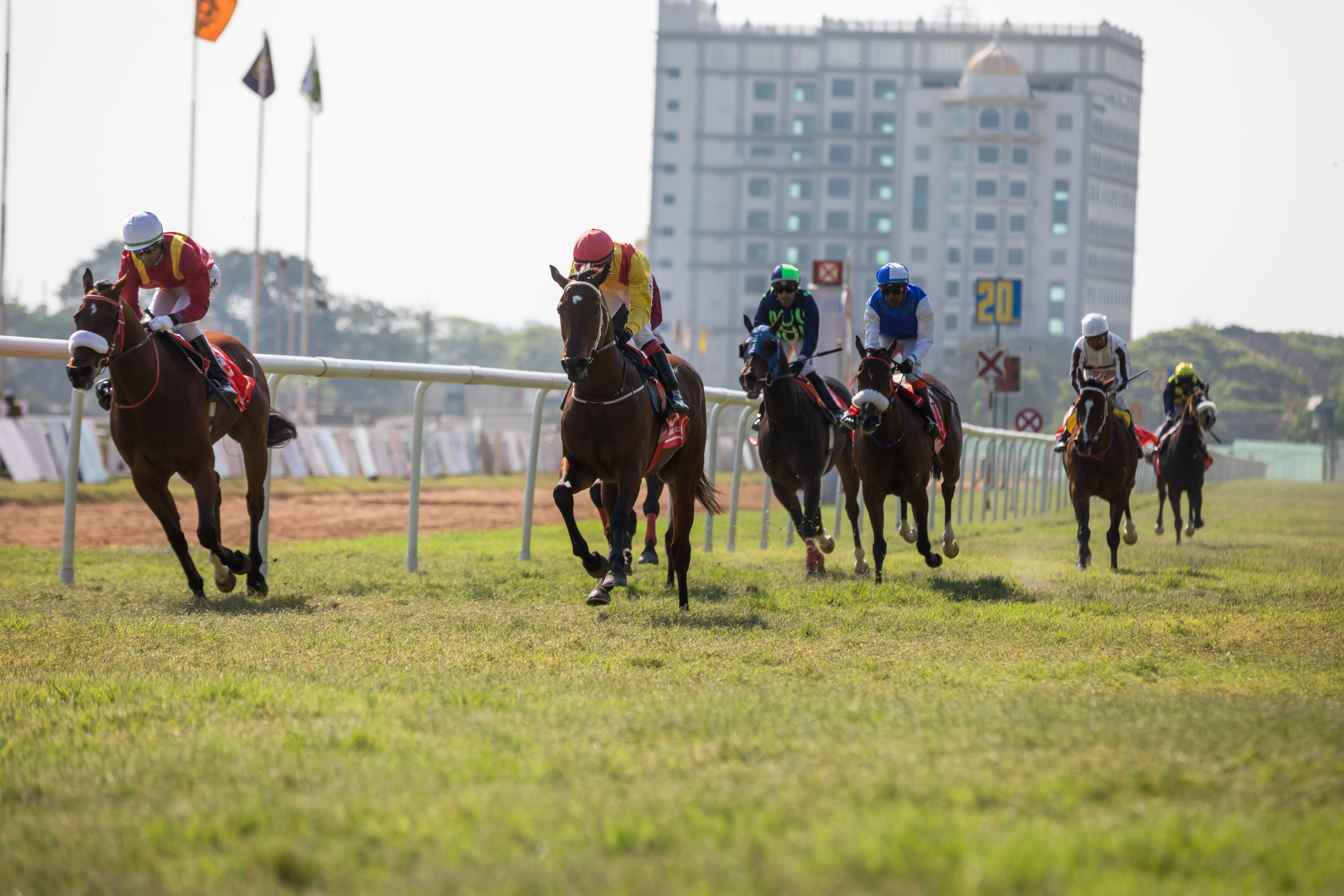 Exciting Horse Racing Event at Urban Racetrack · Free Stock Photo