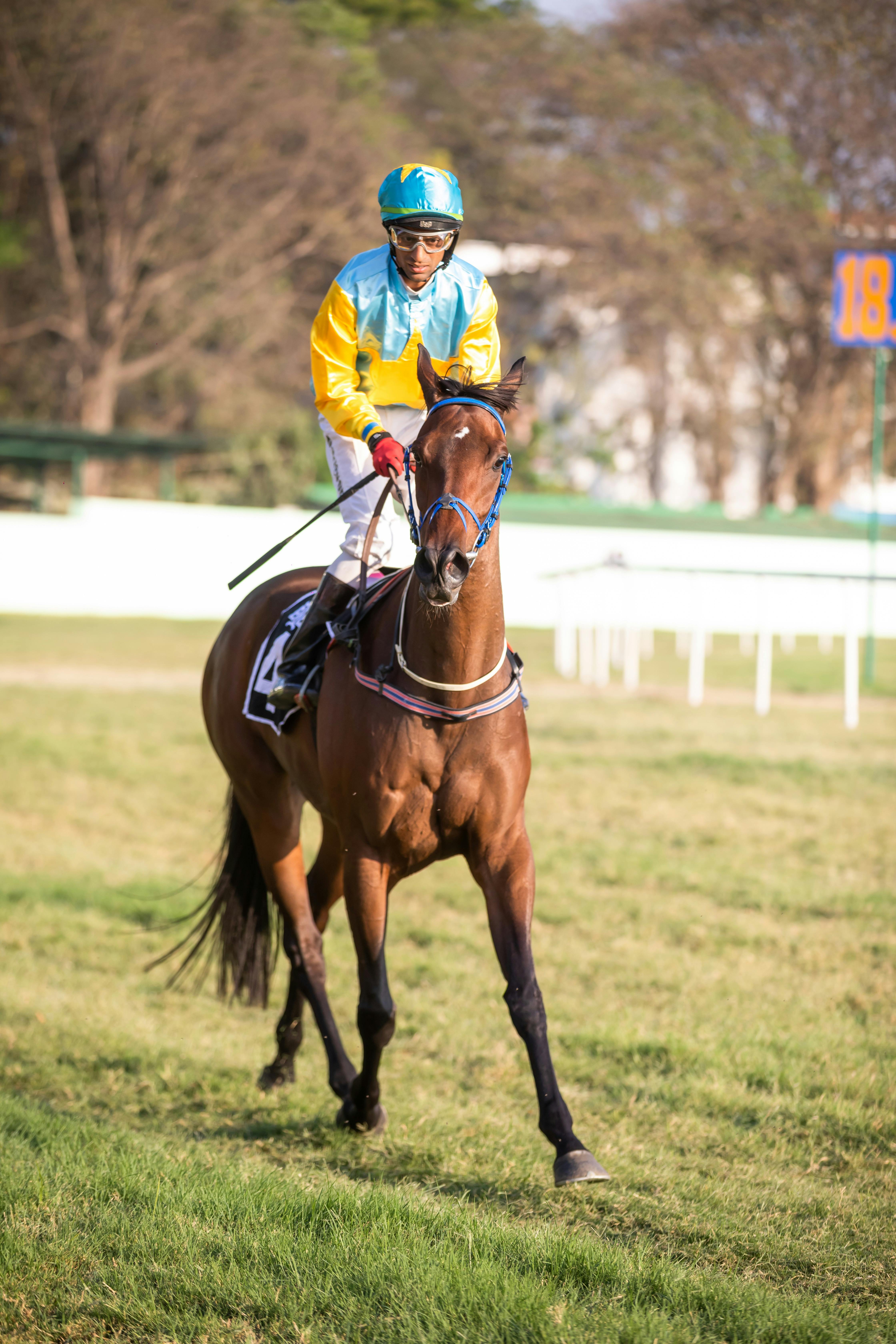 Jockey Riding Racehorse on Sunny Day at Track · Free Stock Photo
