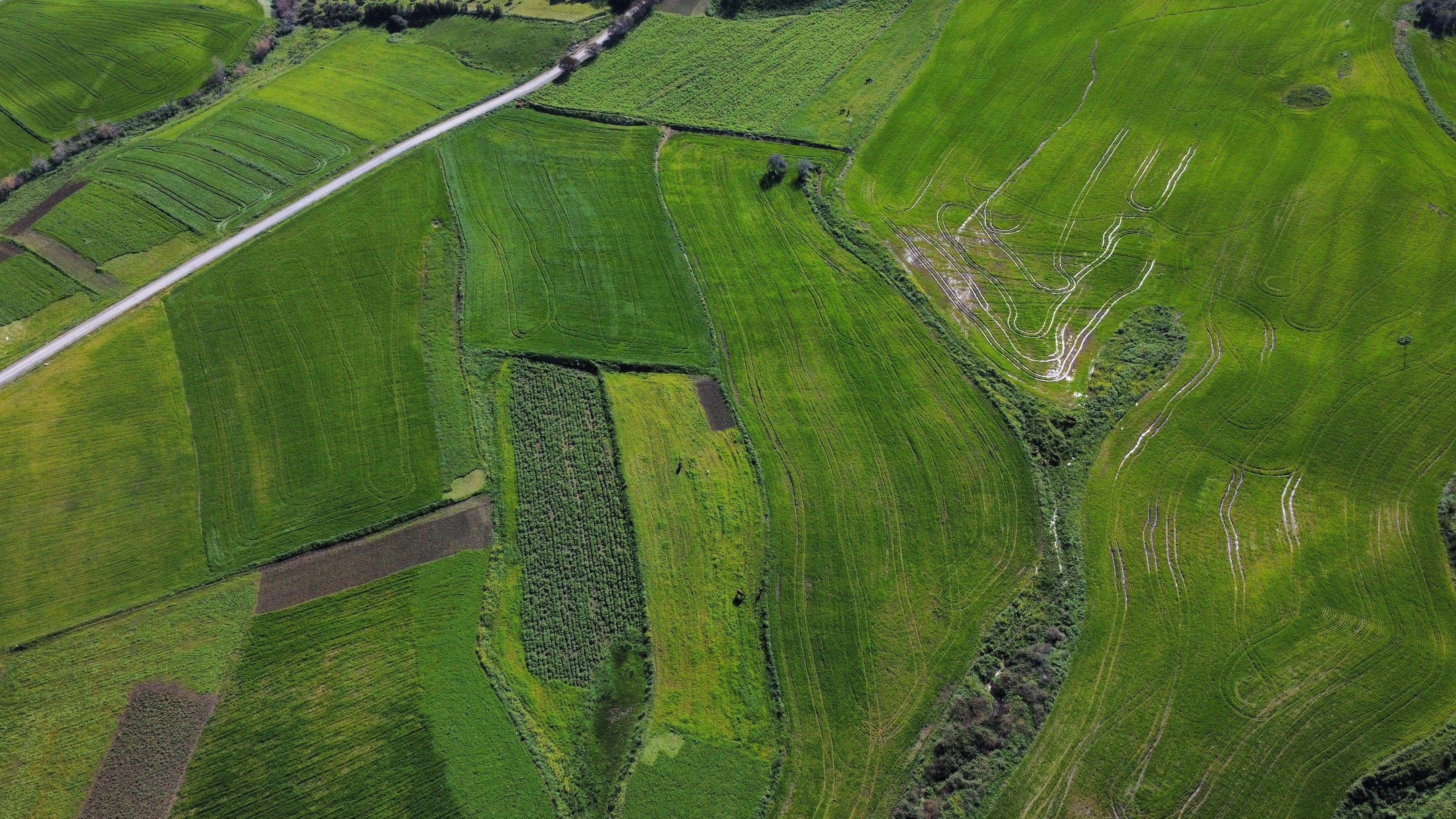 Aerial View of Green Agricultural Fields · Free Stock Photo