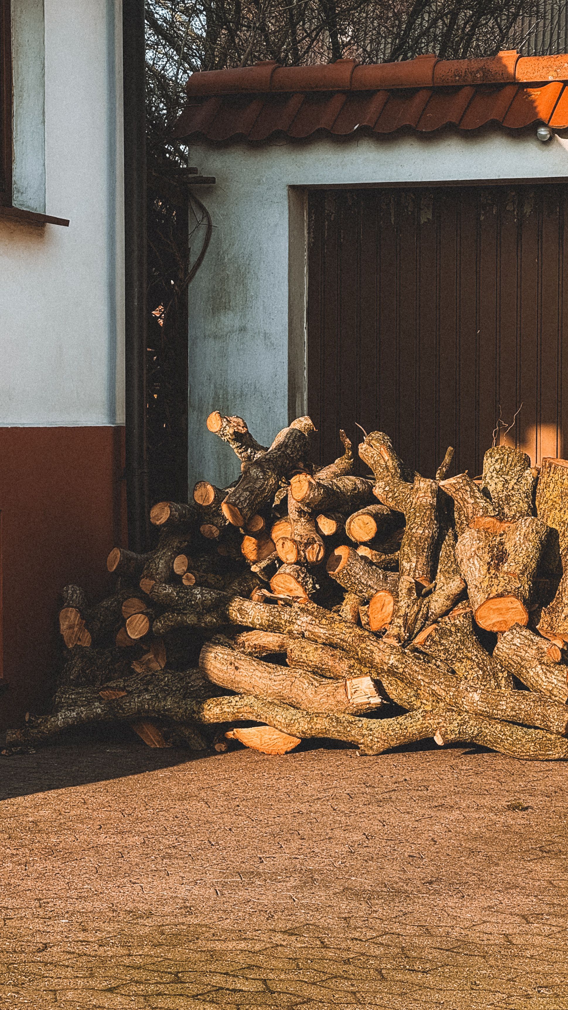Stack of Chopped Firewood Outdoors in Warm Light · Free Stock Photo