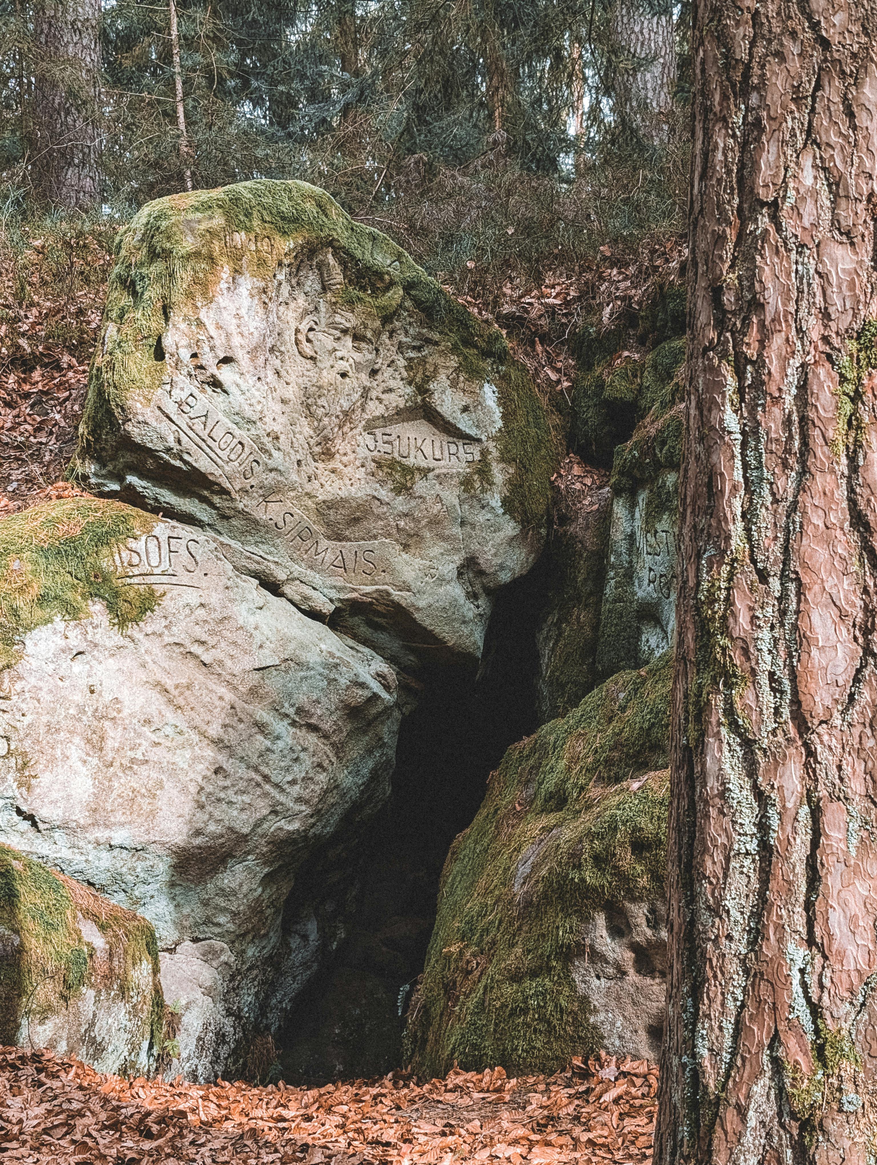 Forest Rocks with Moss and Engravings Outdoors · Free Stock Photo