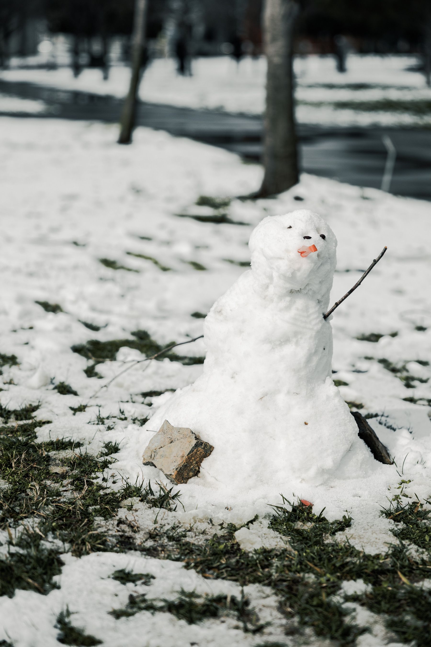Snowman With Camera · Free Stock Photo
