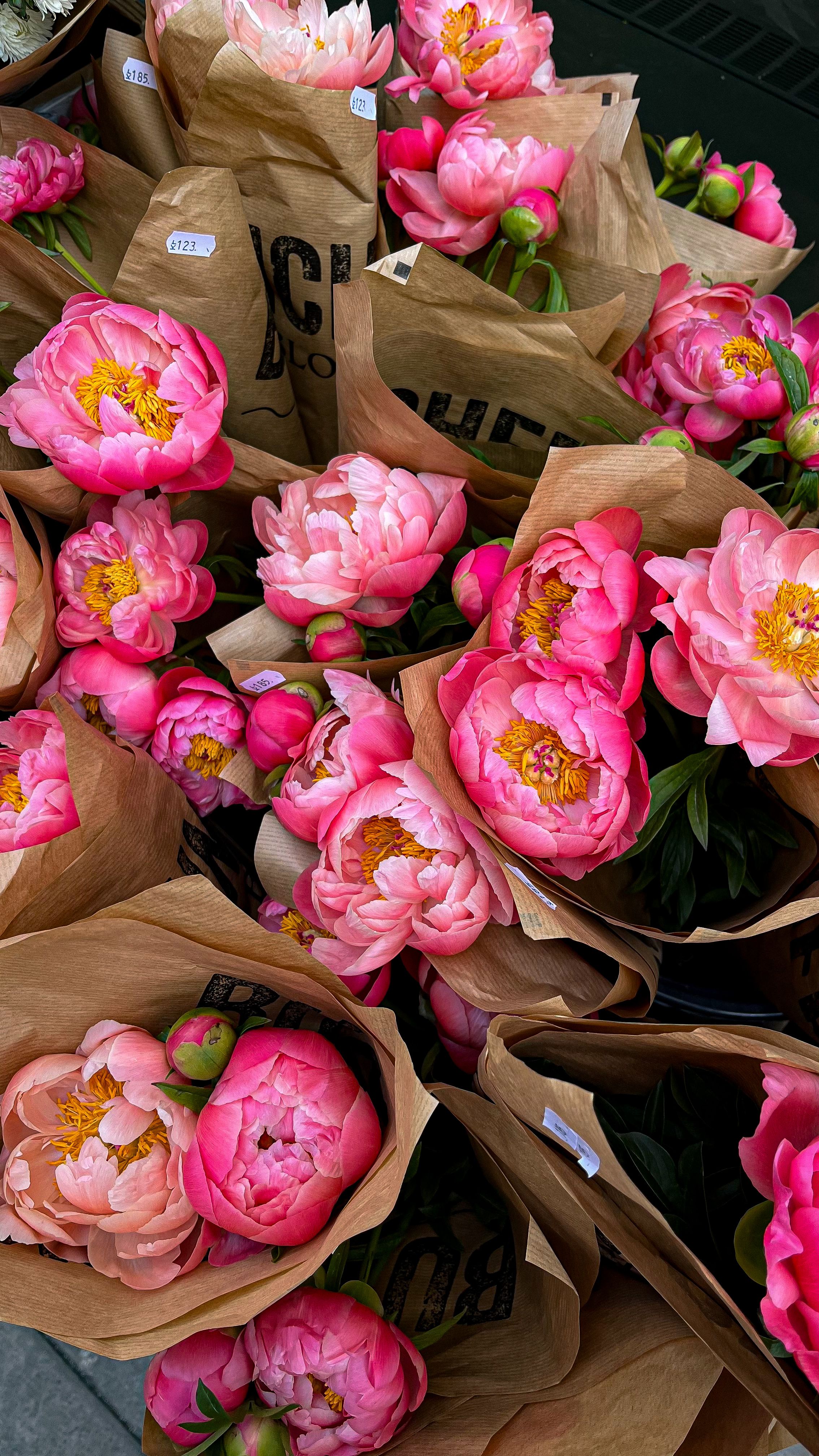 Vibrant Peony Bouquet in Brown Paper Wrapping · Free Stock Photo