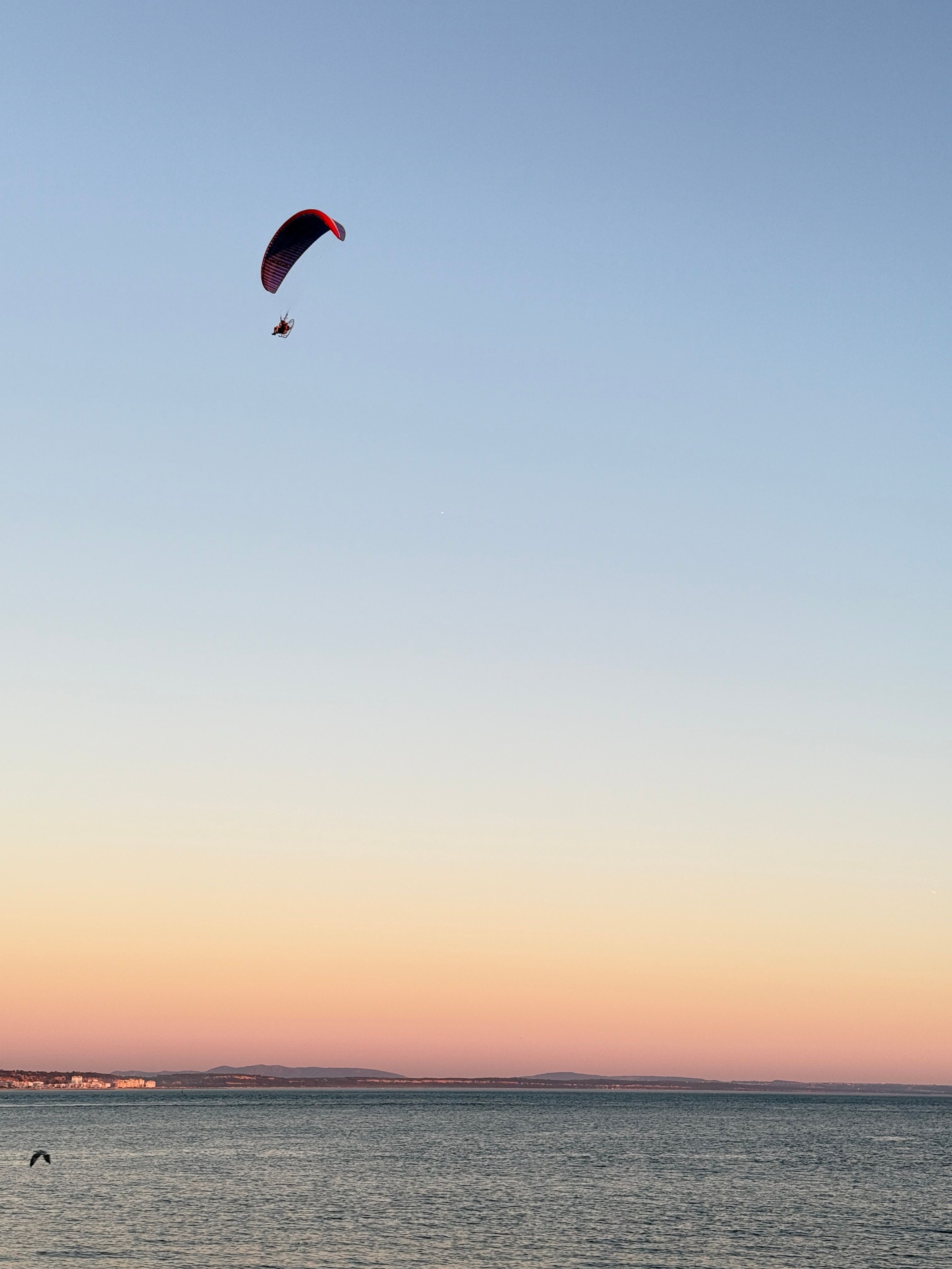 Paraglider soaring over tranquil ocean sunset · Free Stock Photo