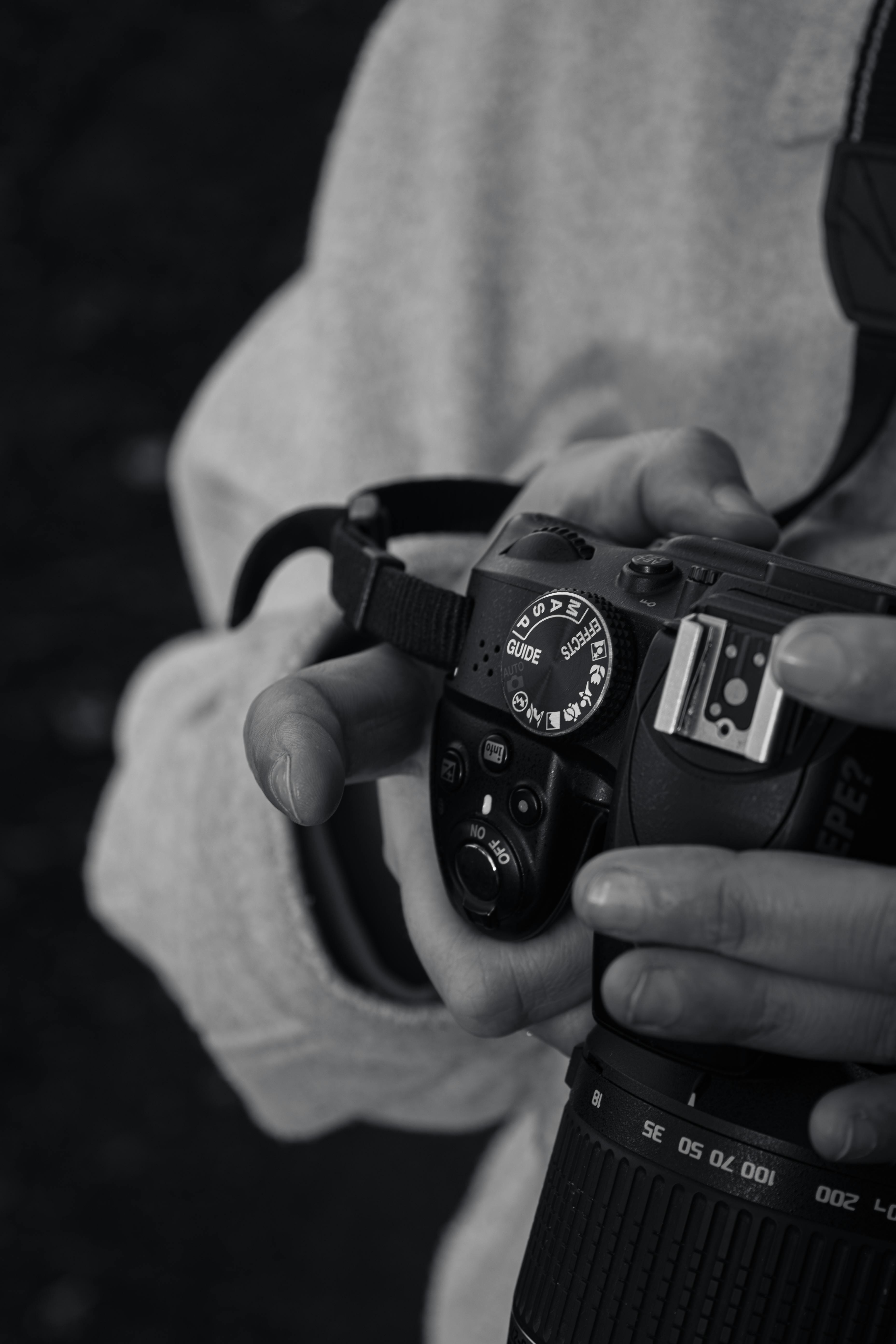 Monotone Animals Photos, Download The BEST Free Monotone Animals Stock ...