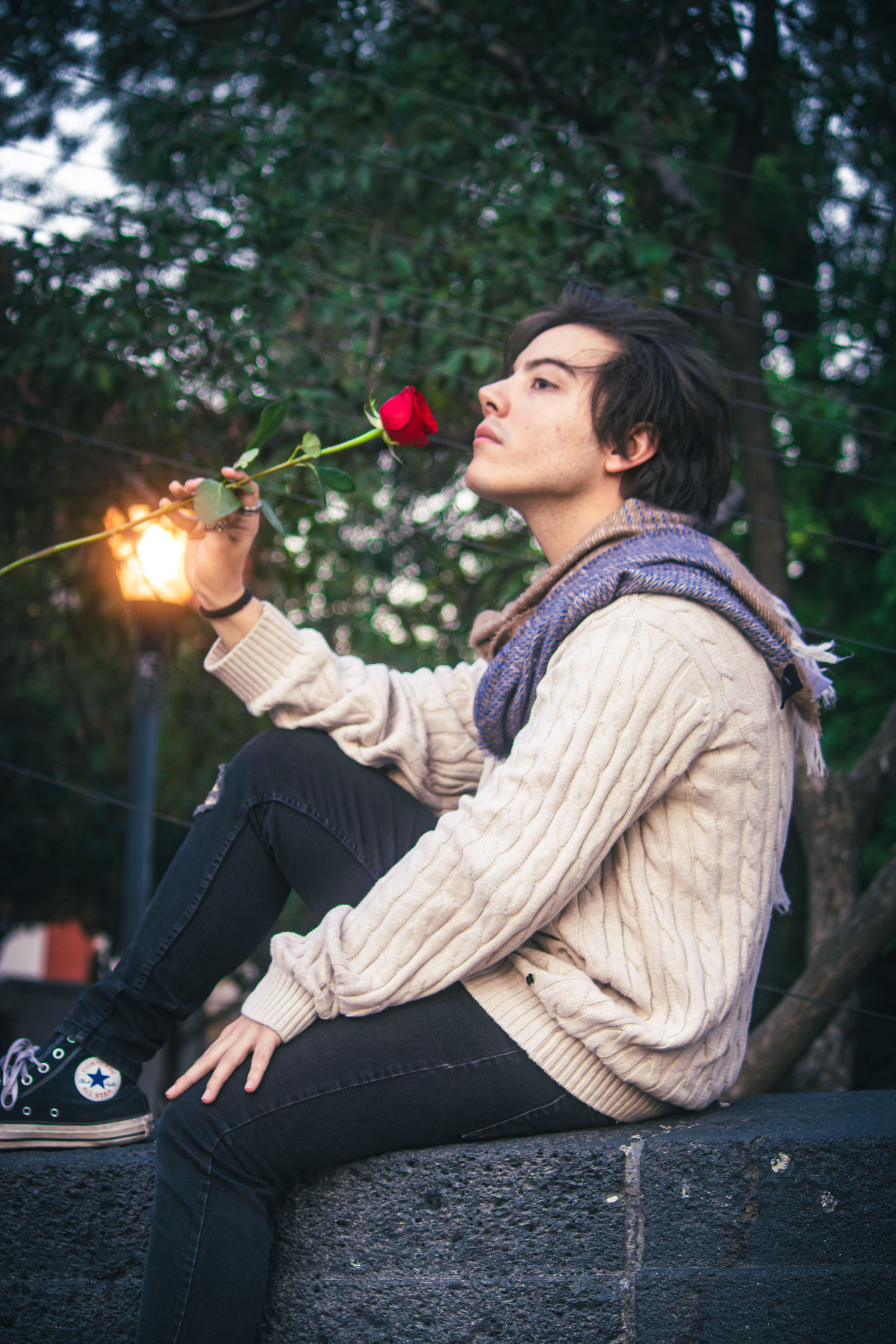 Romantic Young Man with Red Rose in Park · Free Stock Photo
