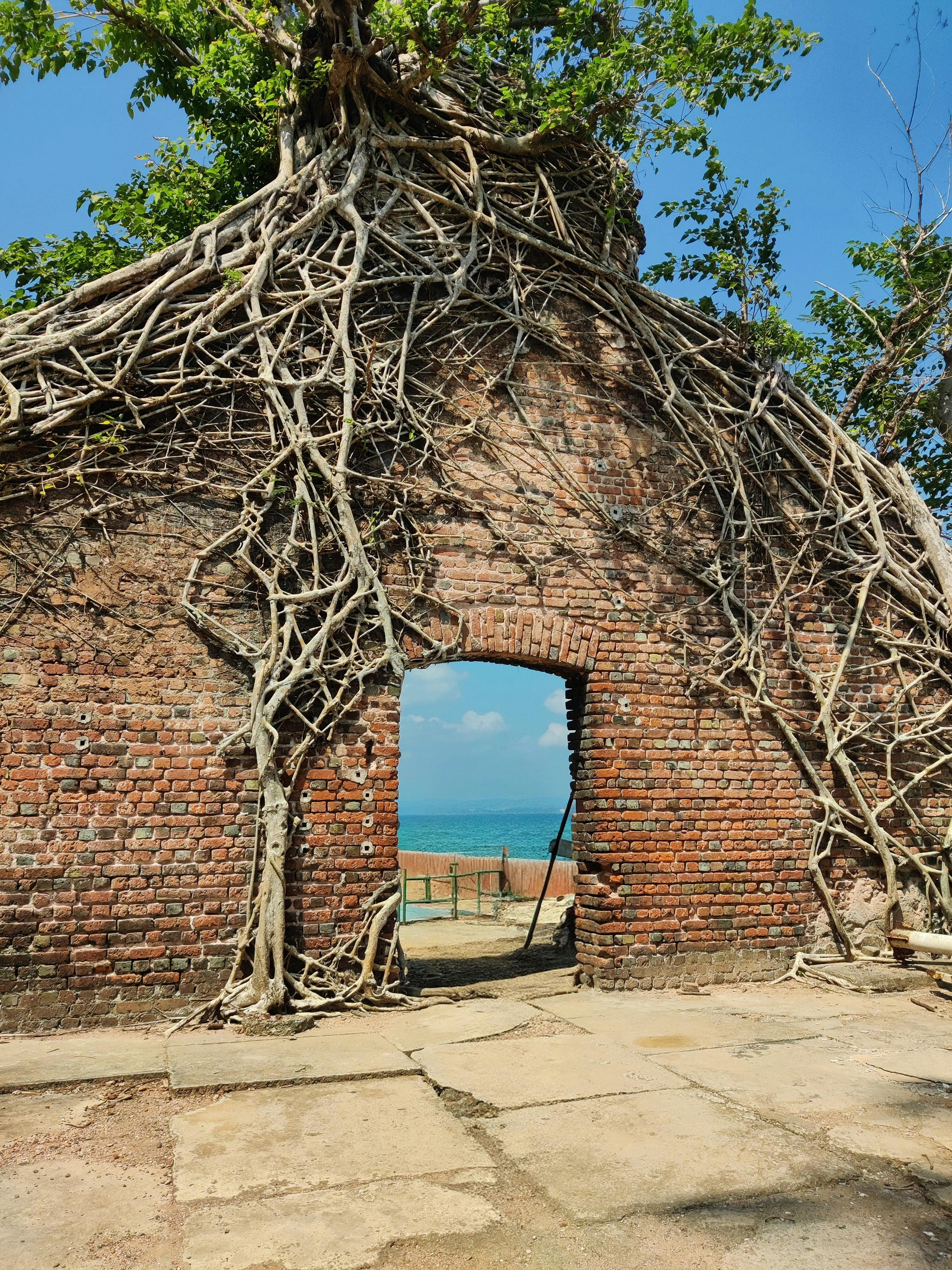 Andaman And Nicobar Islands Photos, Download The BEST Free Andaman And ...