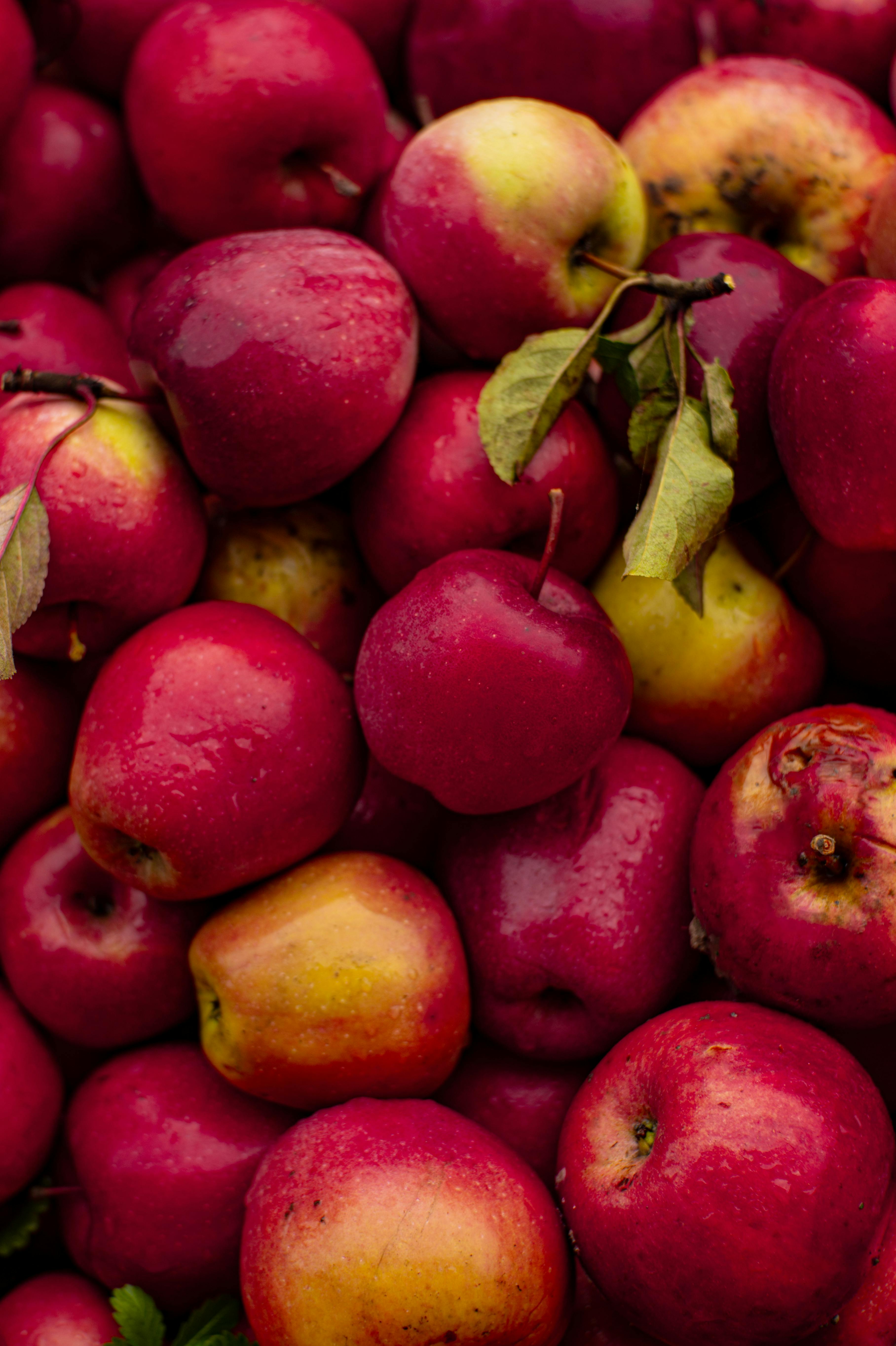 Trois Pommes Rouges Sur Une Surface En Bois · Photo gratuite