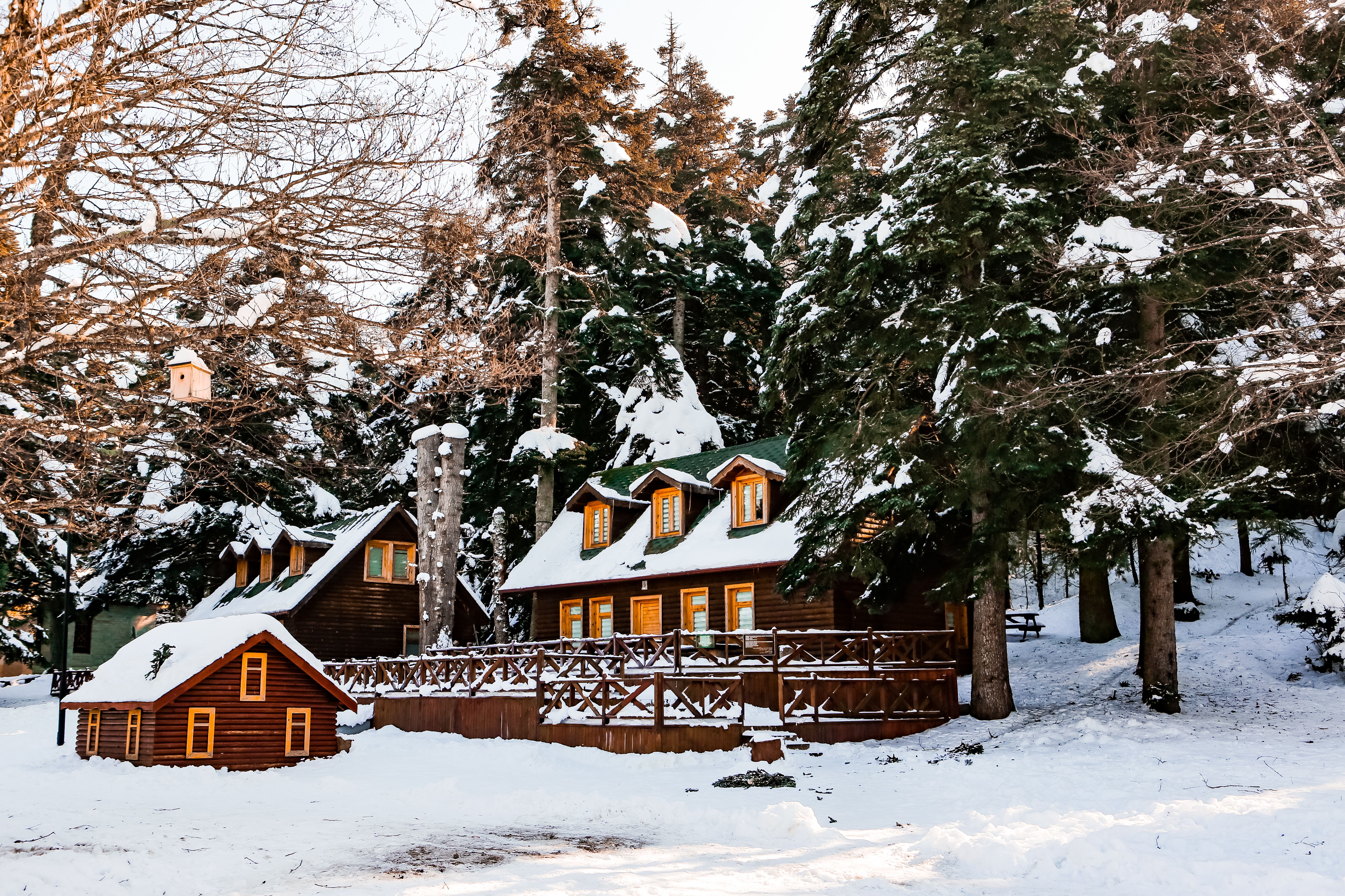 Winter landscape with wooden cottage in snowy forest · Free Stock Photo