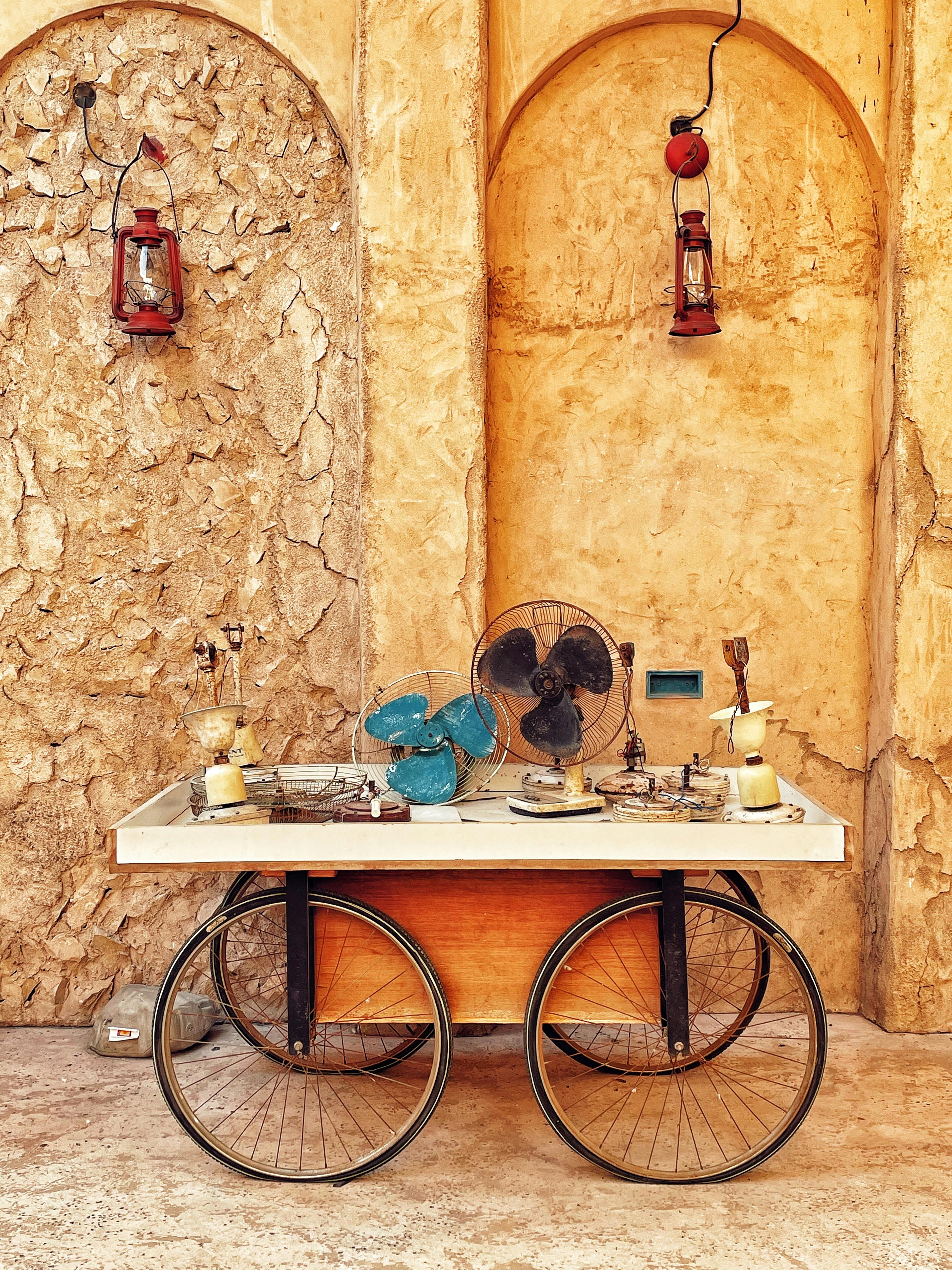 Fans De Flea Photos, Download The BEST Free Fans De Flea Stock Photos ...