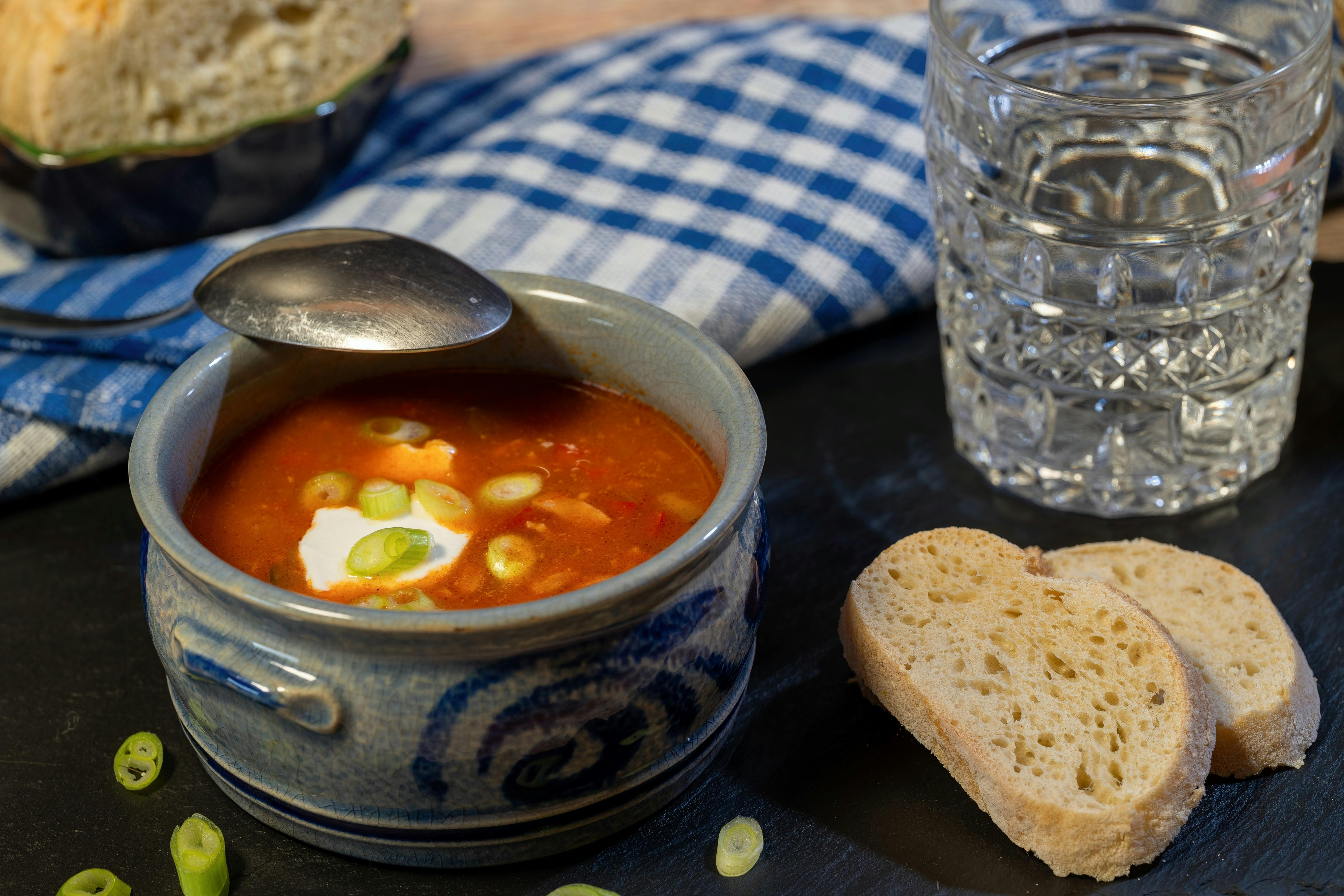 Traditional Solyanka Soup with Sour Cream and Bread · Free Stock Photo