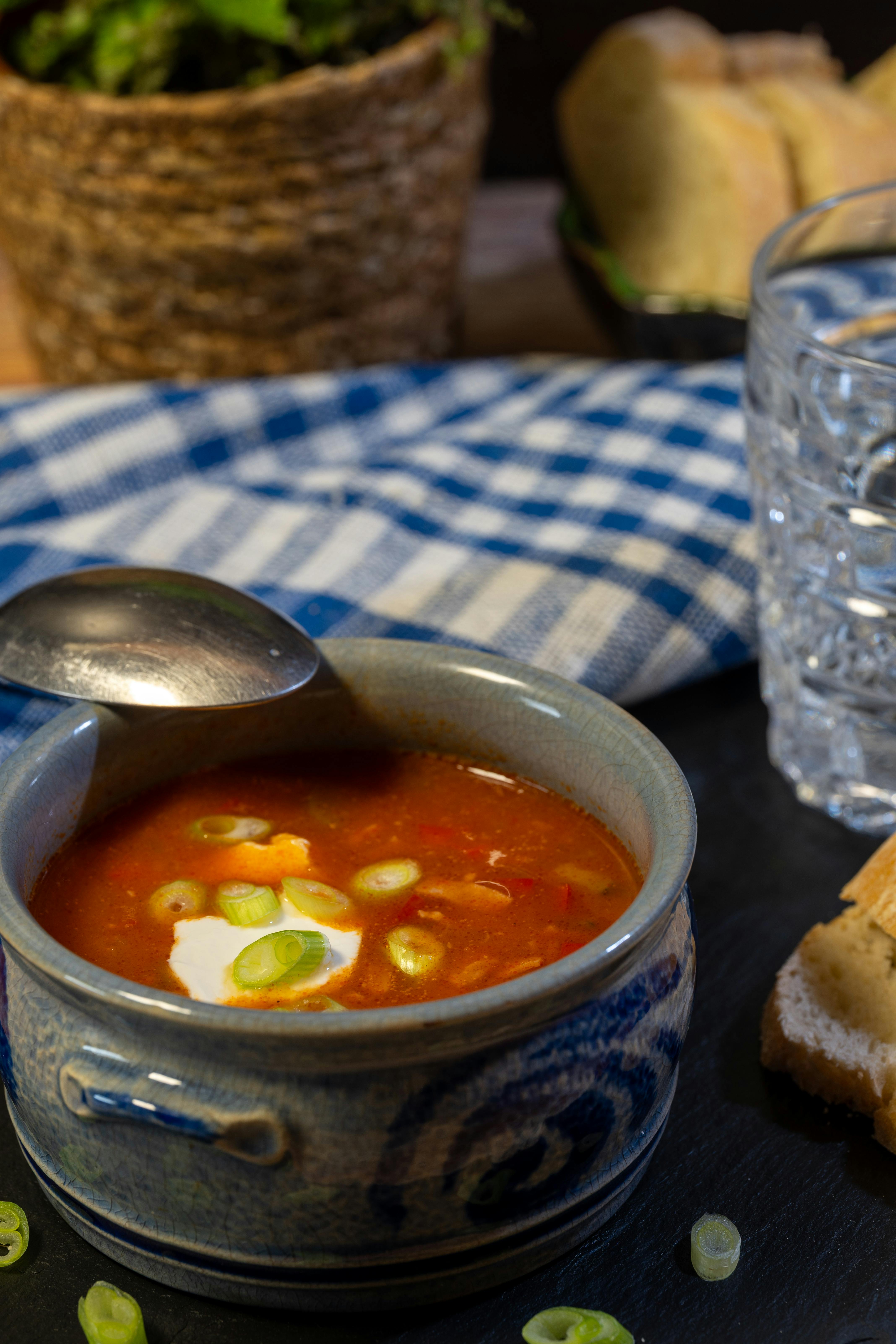 Hearty Russian Solyanka Soup with Bread · Free Stock Photo