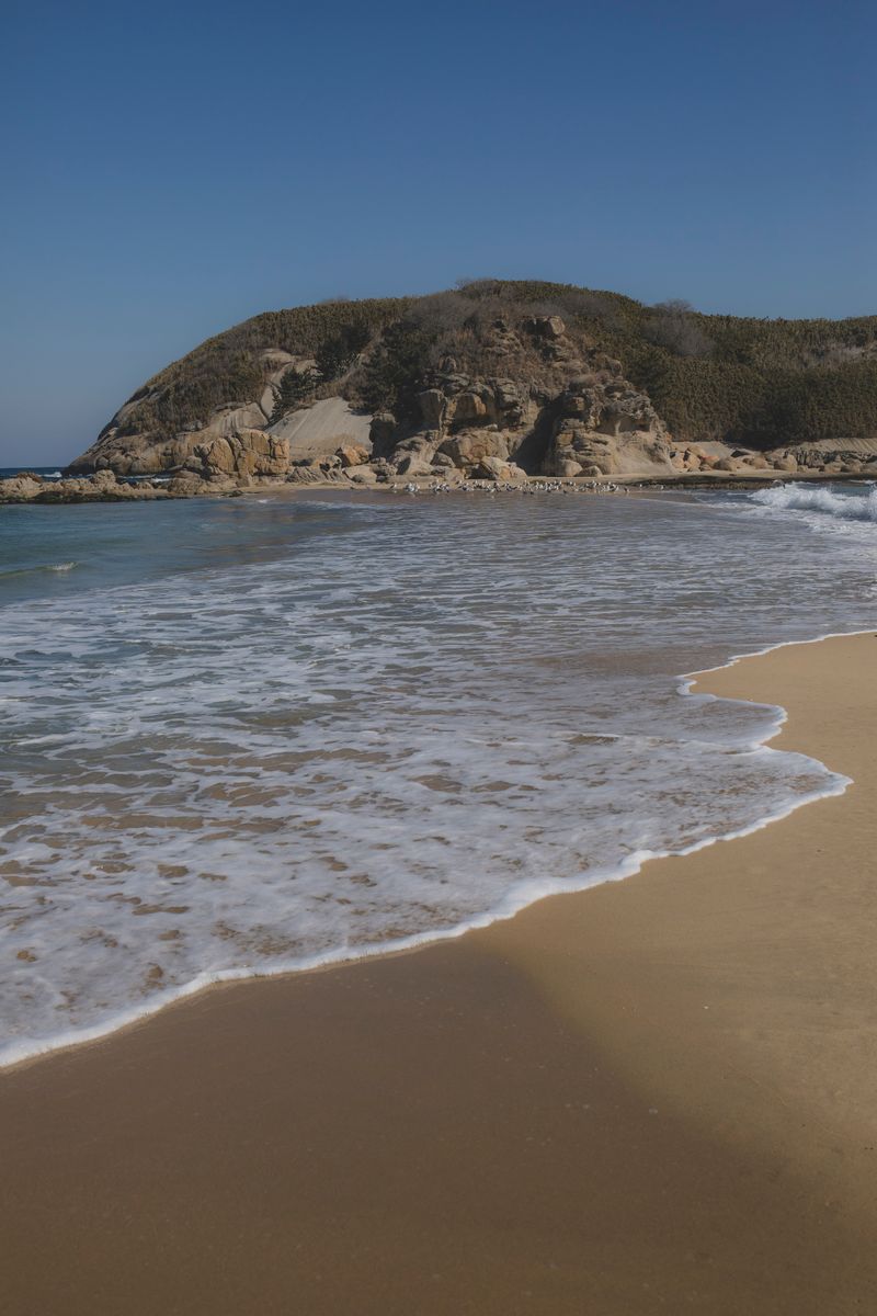 Beach+Creepshots Photos, Download The BEST Free Beach+Creepshots Stock ...