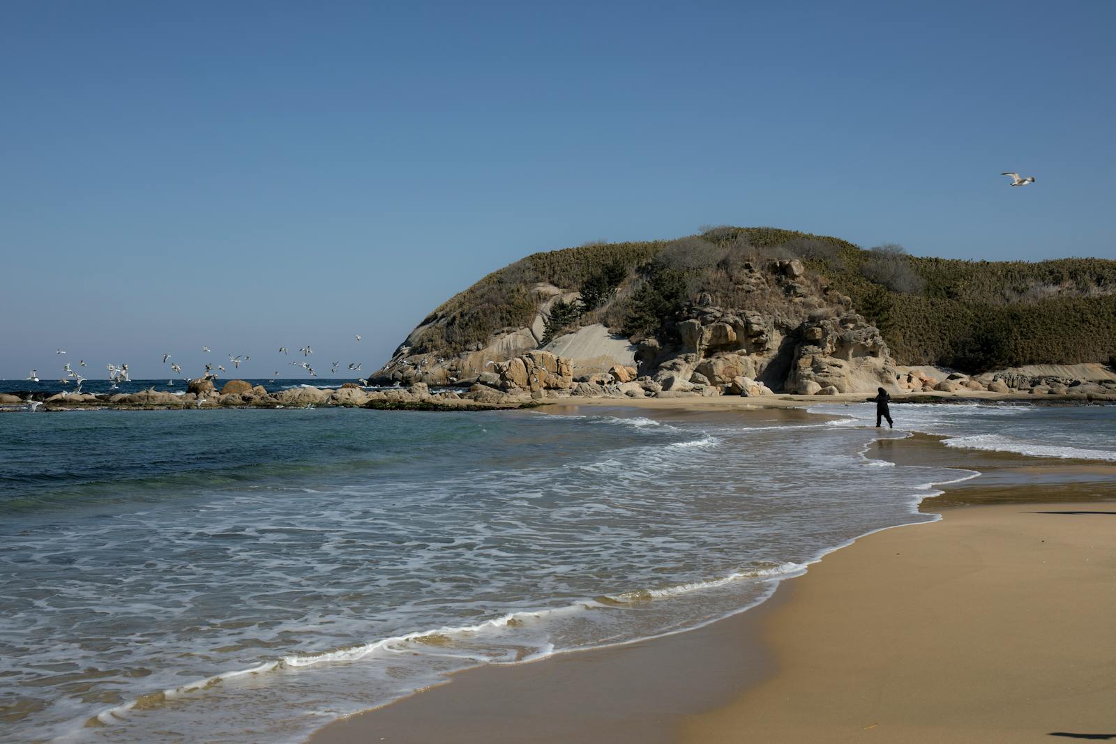 Sunny Beach Photos, Download The BEST Free Sunny Beach Stock Photos ...