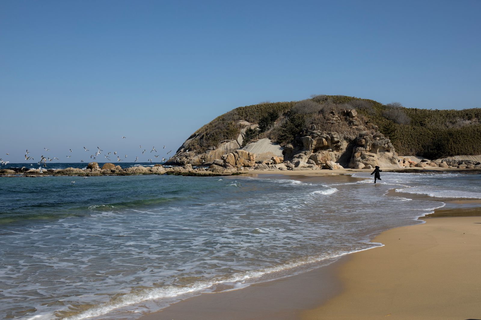 Beach+Creepshots Photos, Download The BEST Free Beach+Creepshots Stock ...