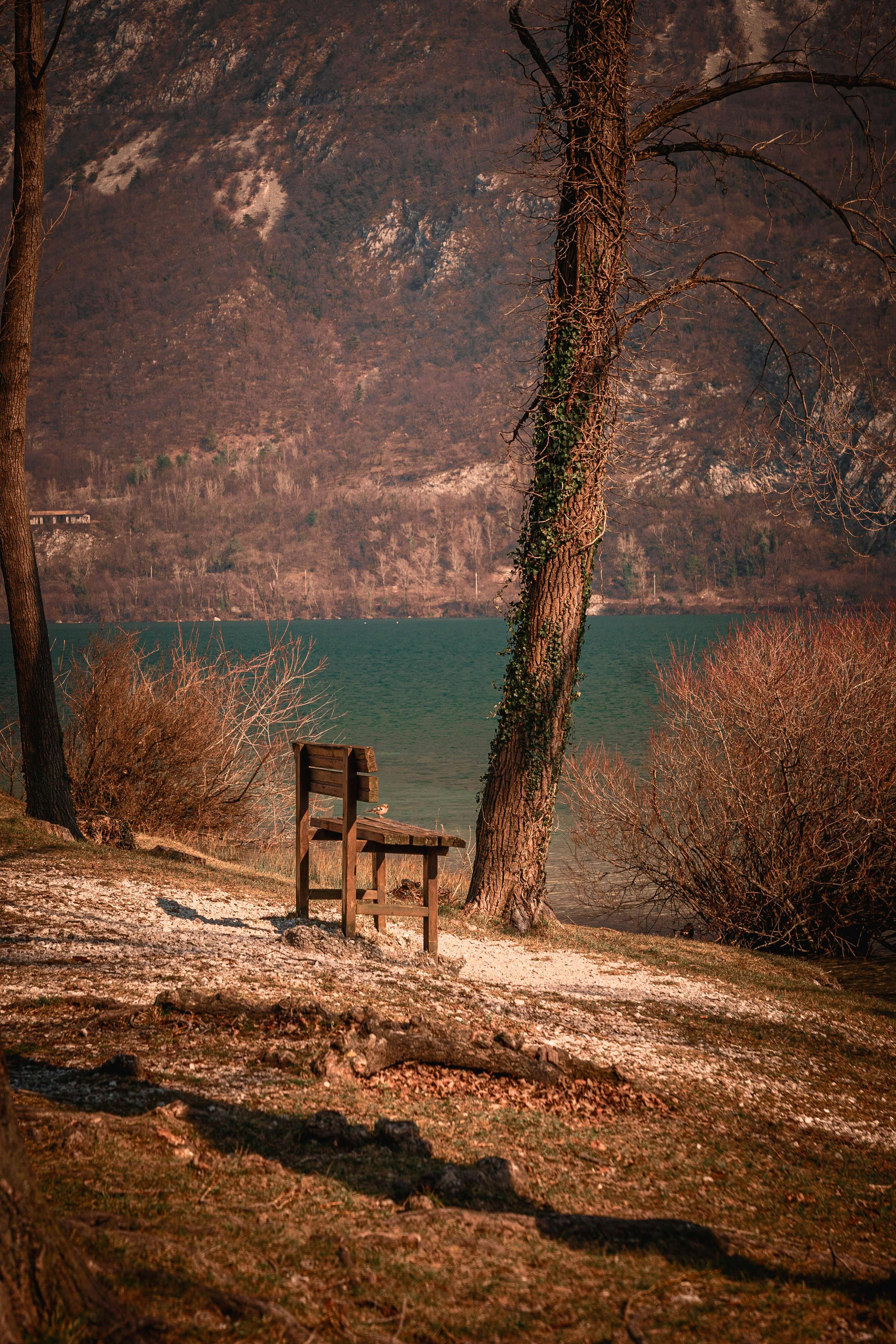 Scenic Bench Photos, Download The BEST Free Scenic Bench Stock Photos ...